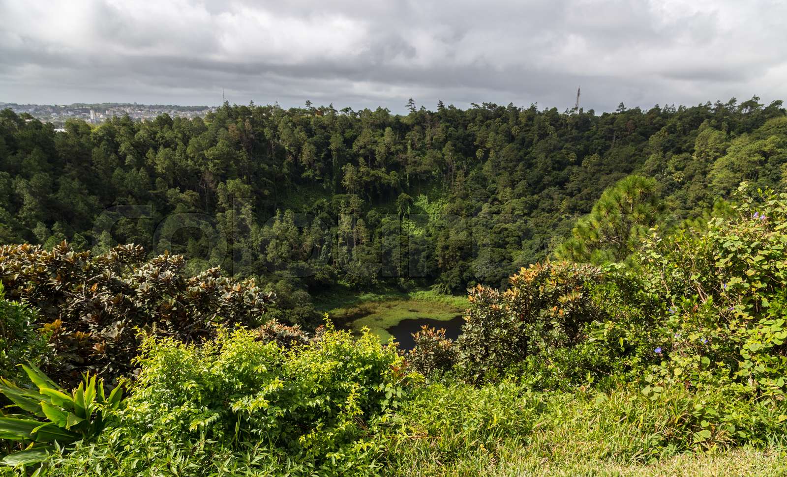 Volcano crater of Trou aux Cerfs in Mauritius | Stock image | Colourbox