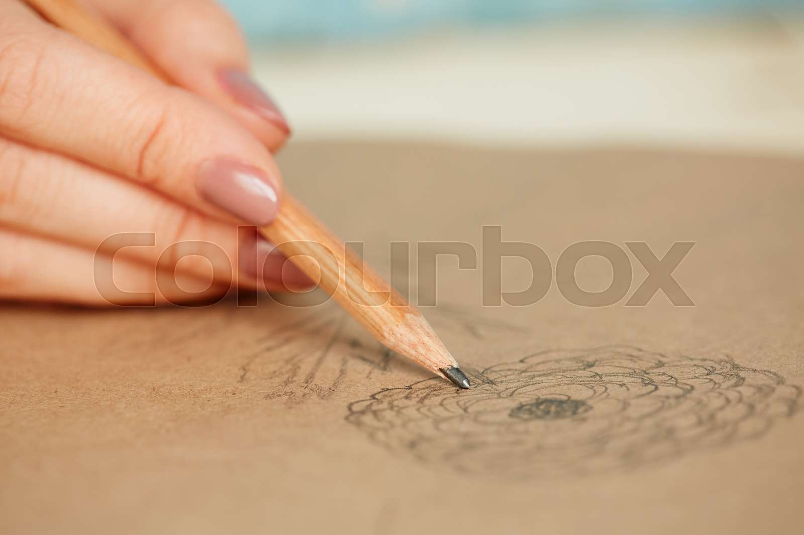 Woman learning to draw | Stock image | Colourbox