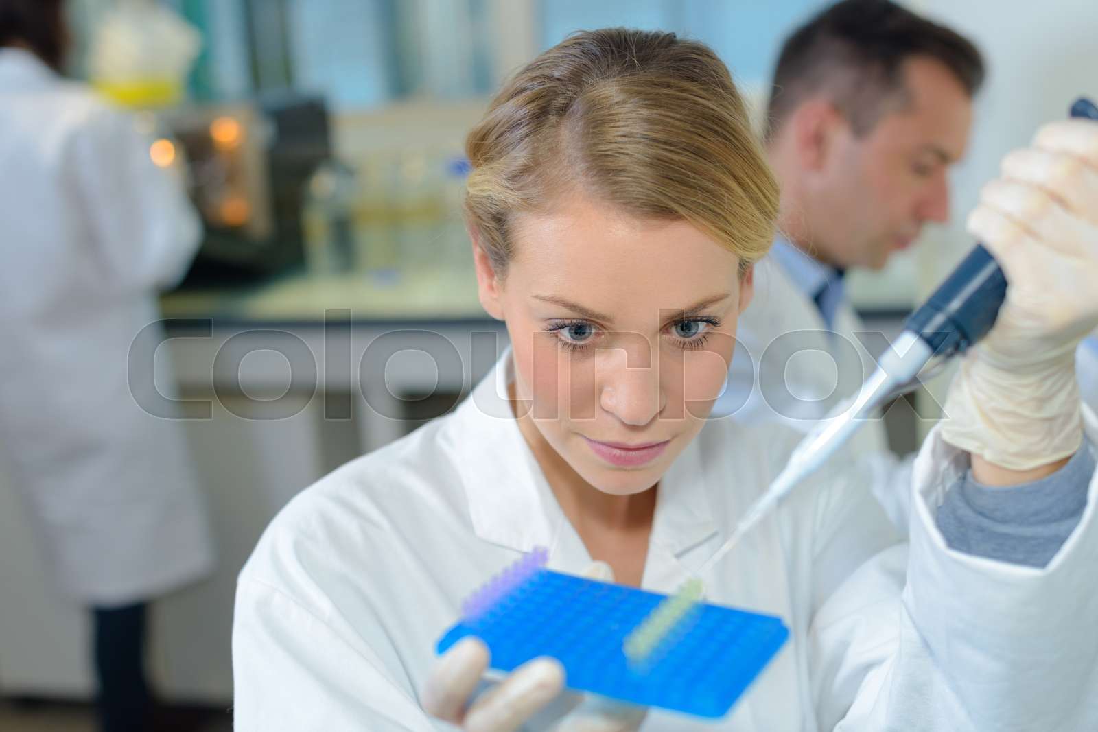 Female lab technician collecting samples from pipette | Stock image ...