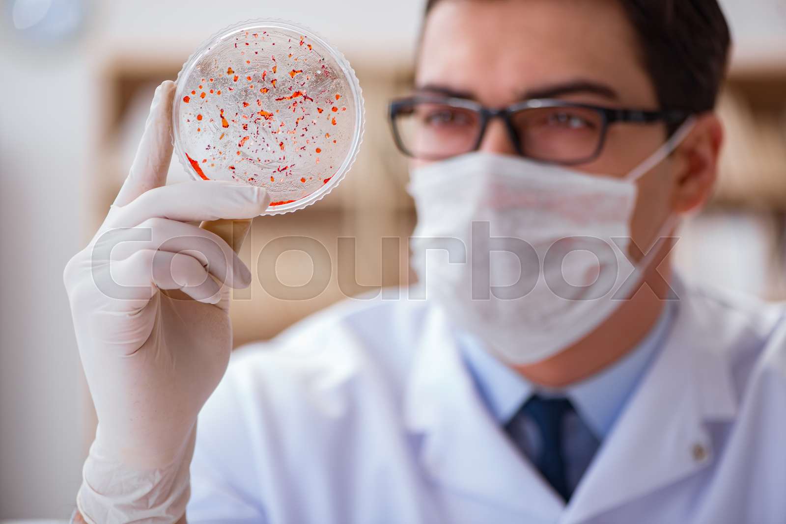 Doctor studying virus bacteria in the lab | Stock image | Colourbox