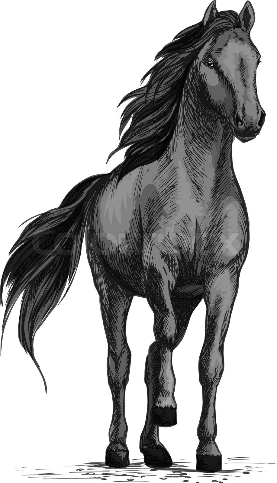 Horse mustang stomping hoof vector sketch | Stock vector | Colourbox