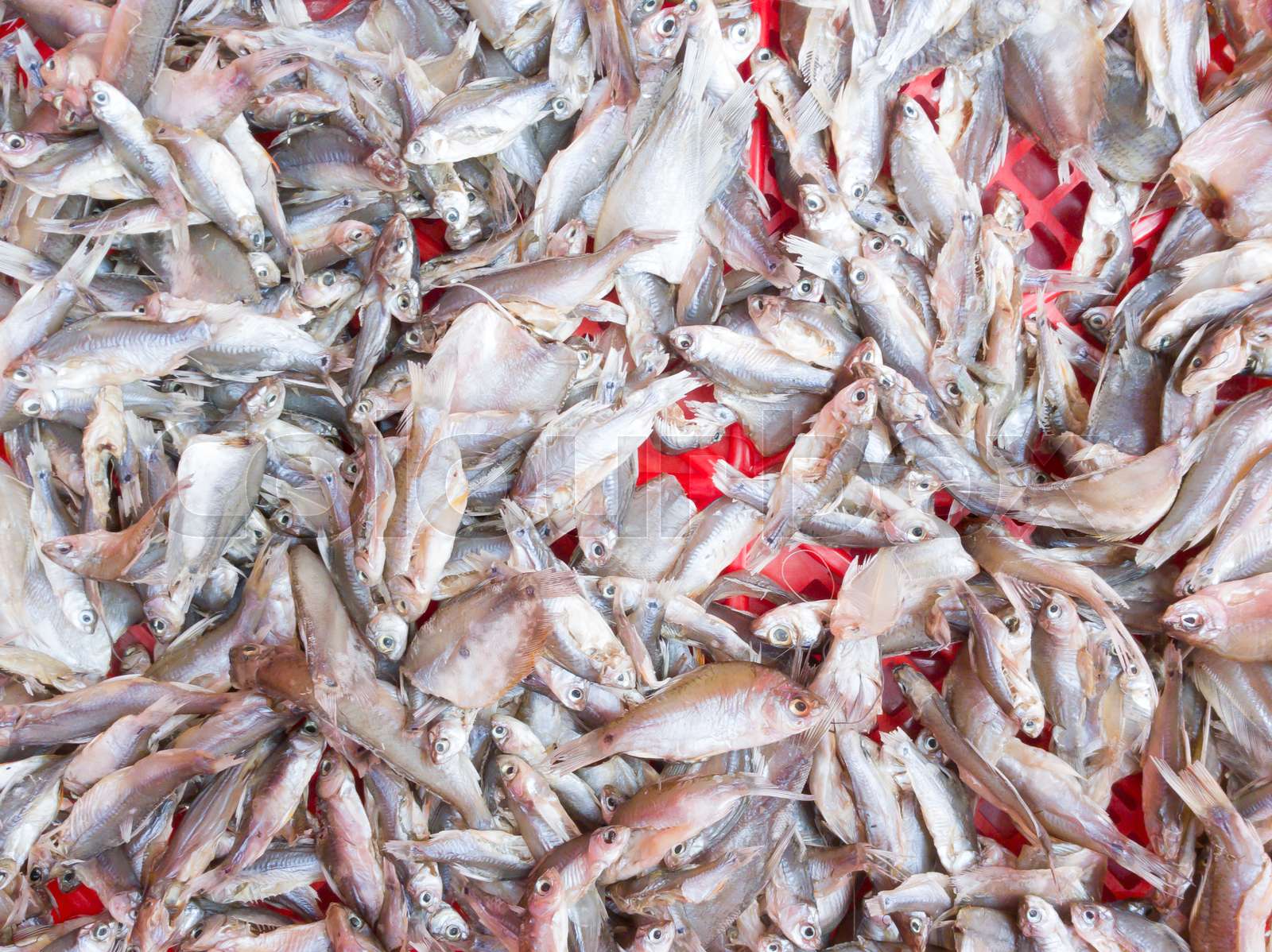 Dried Small fish used in Asian cuisine | Stock image | Colourbox