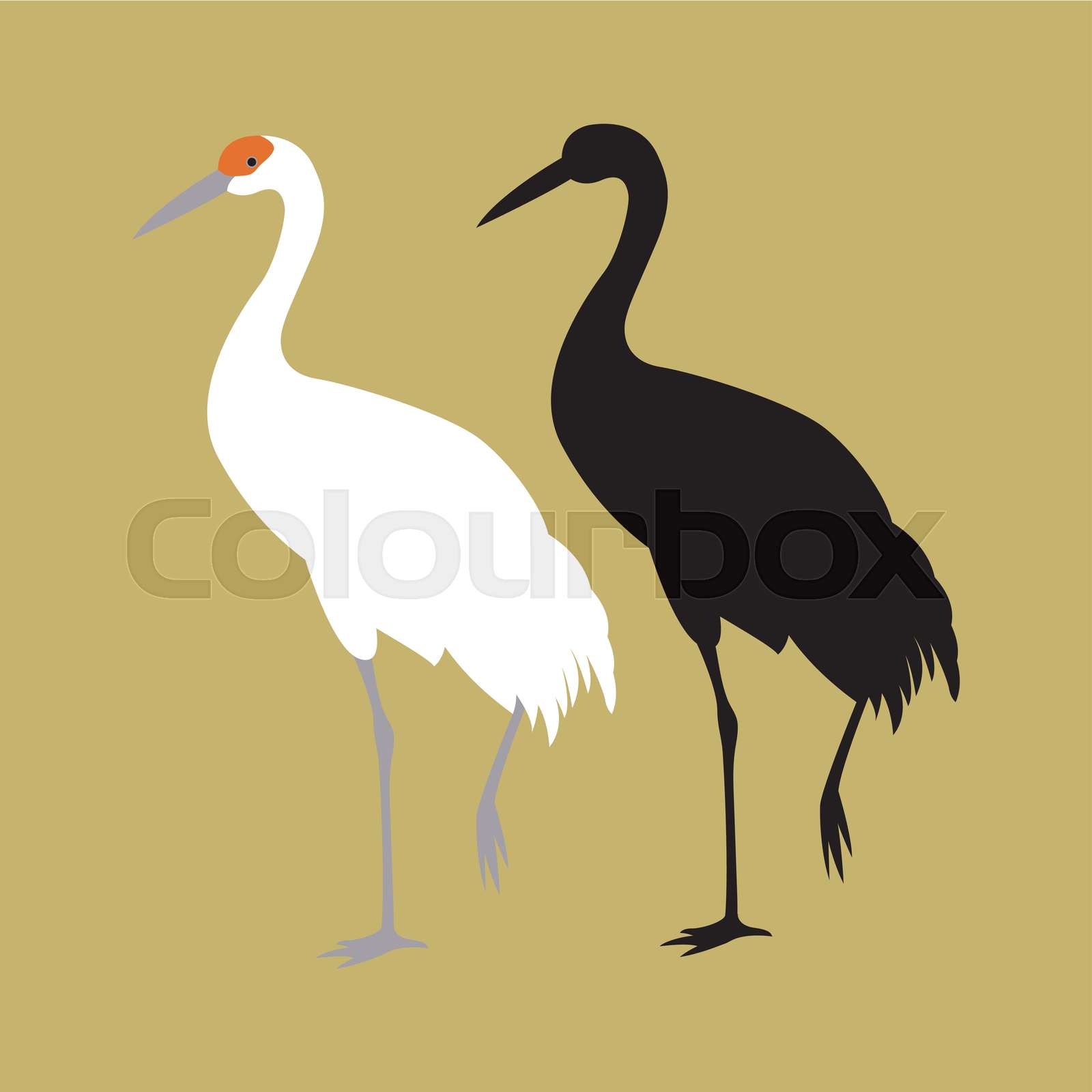 Crane bird | Stock vector | Colourbox