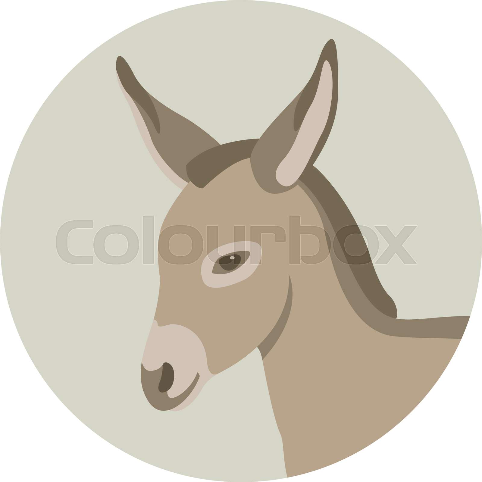 donkey young head | Stock vector | Colourbox