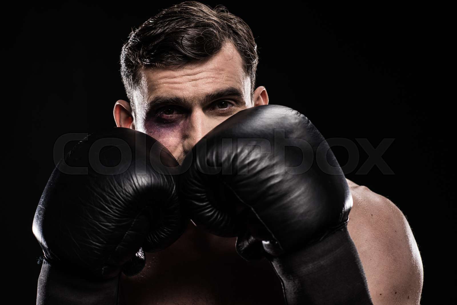 Boxer with black eye | Stock image | Colourbox