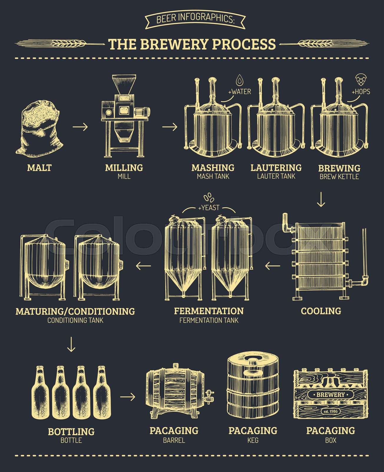 Vector beer infographics with illustrations of brewery process. Ale ...