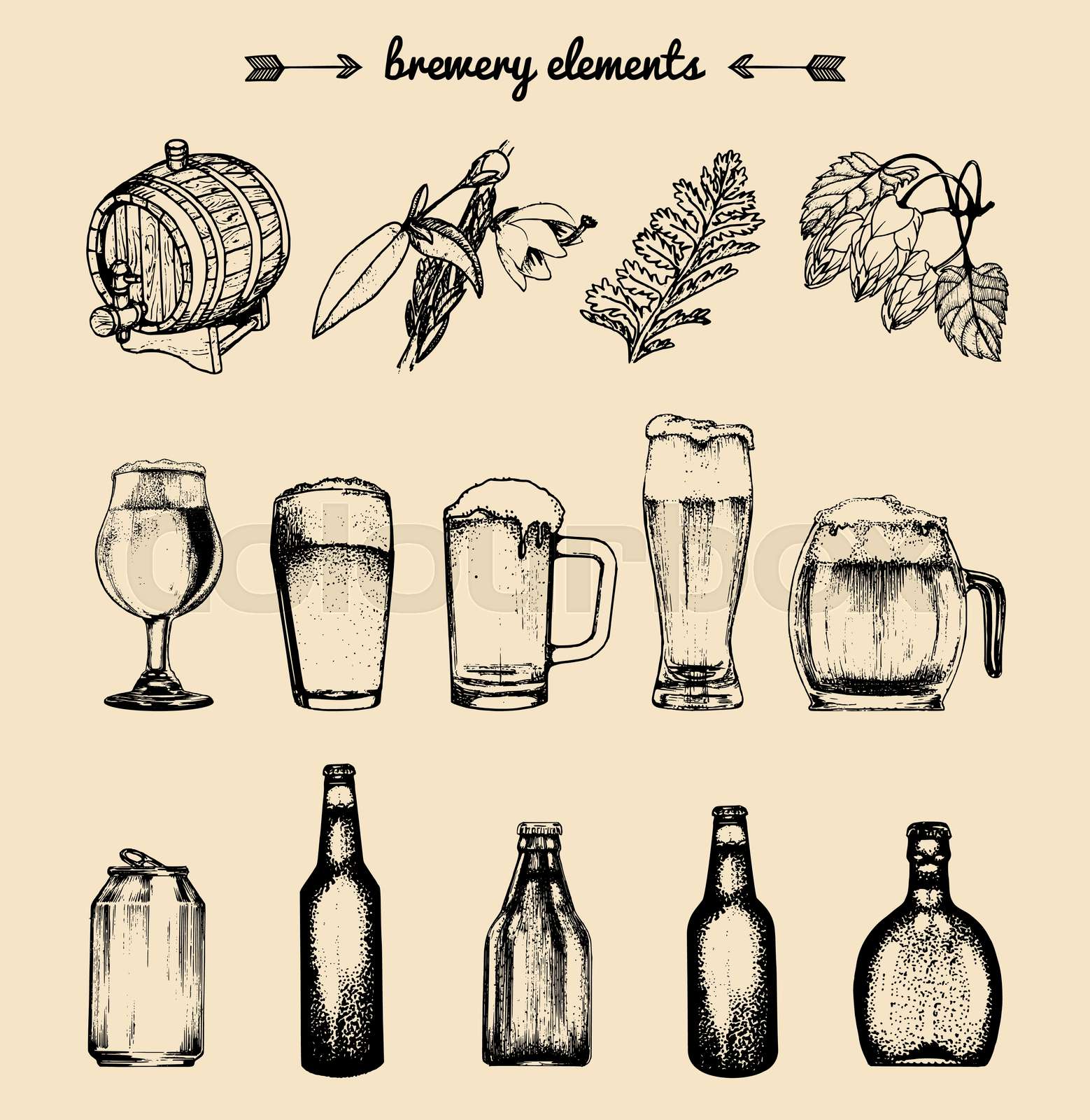 Vector set of vintage brewery elements. Retro collection of beer icons ...