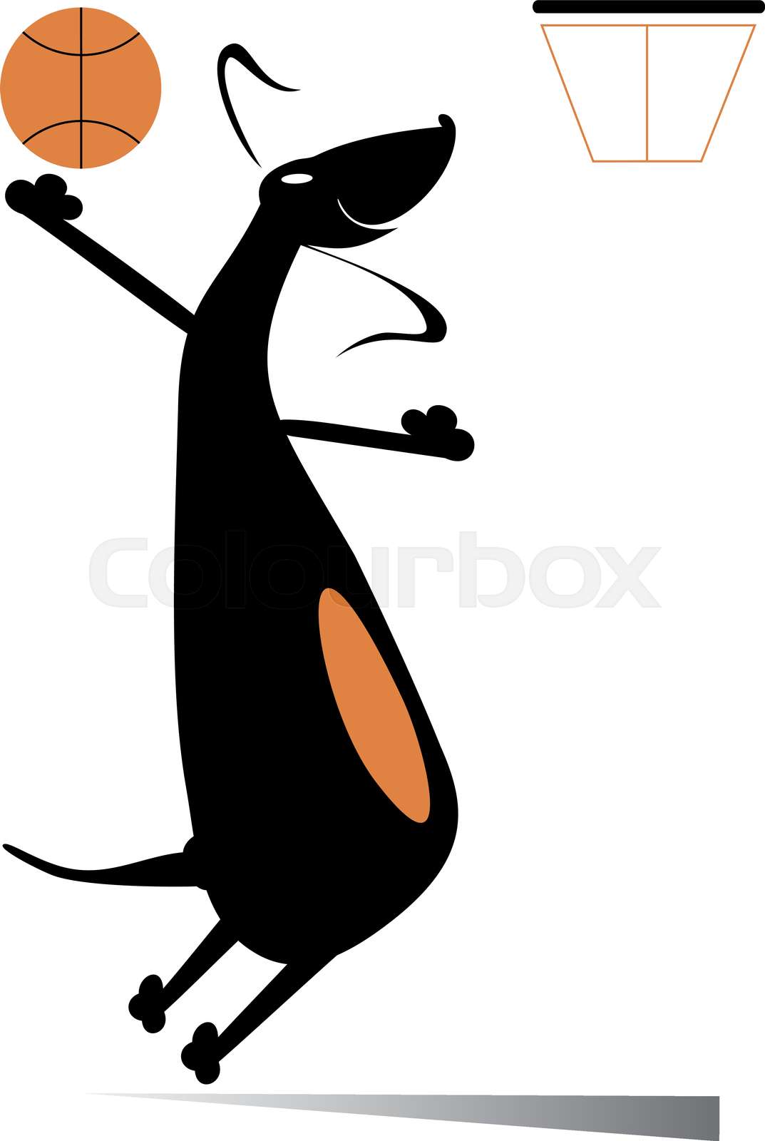 Dog a basketball player isolated | Stock vector | Colourbox