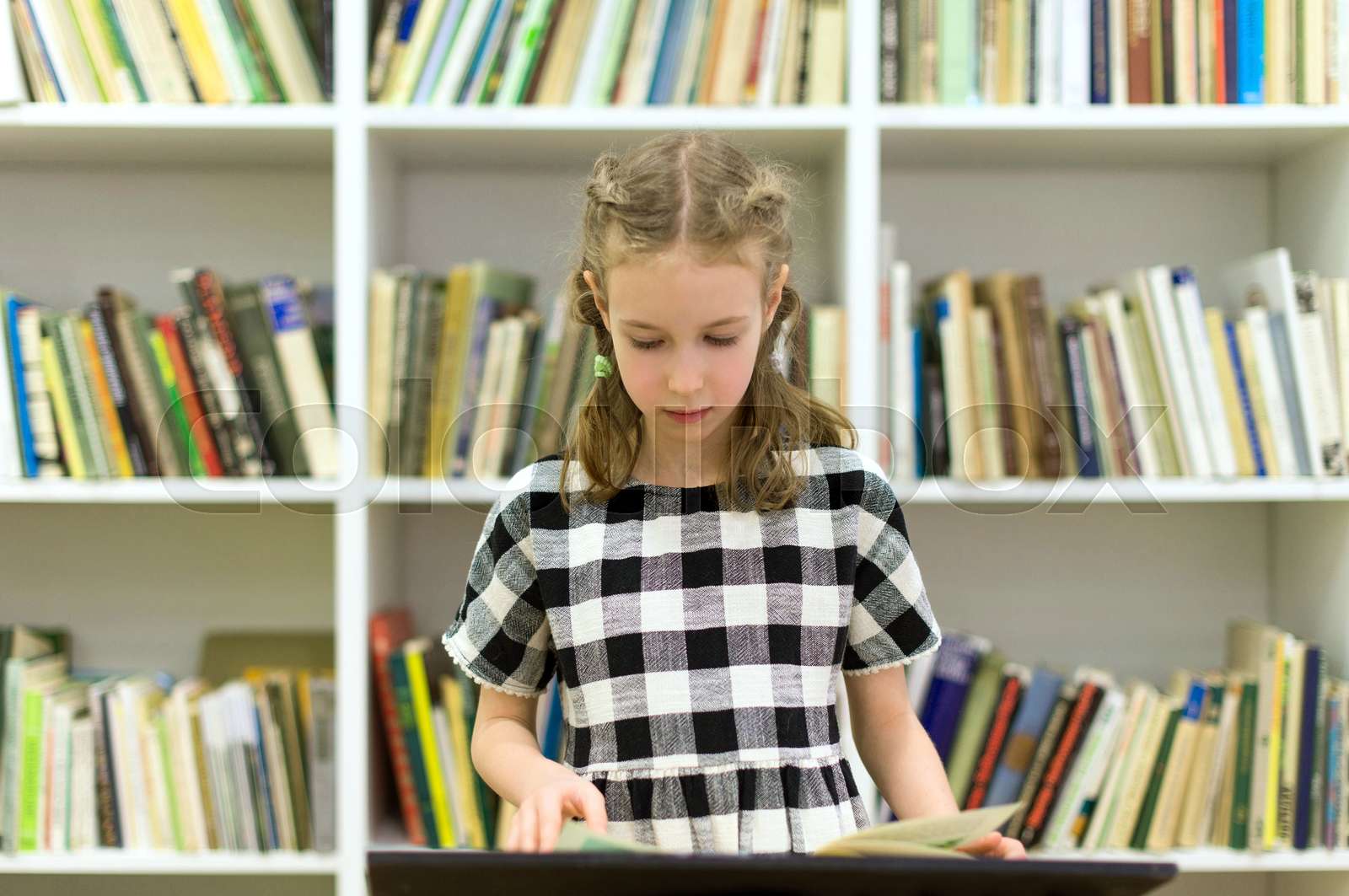 Pretty little girl reading a book in library. | Stock image | Colourbox