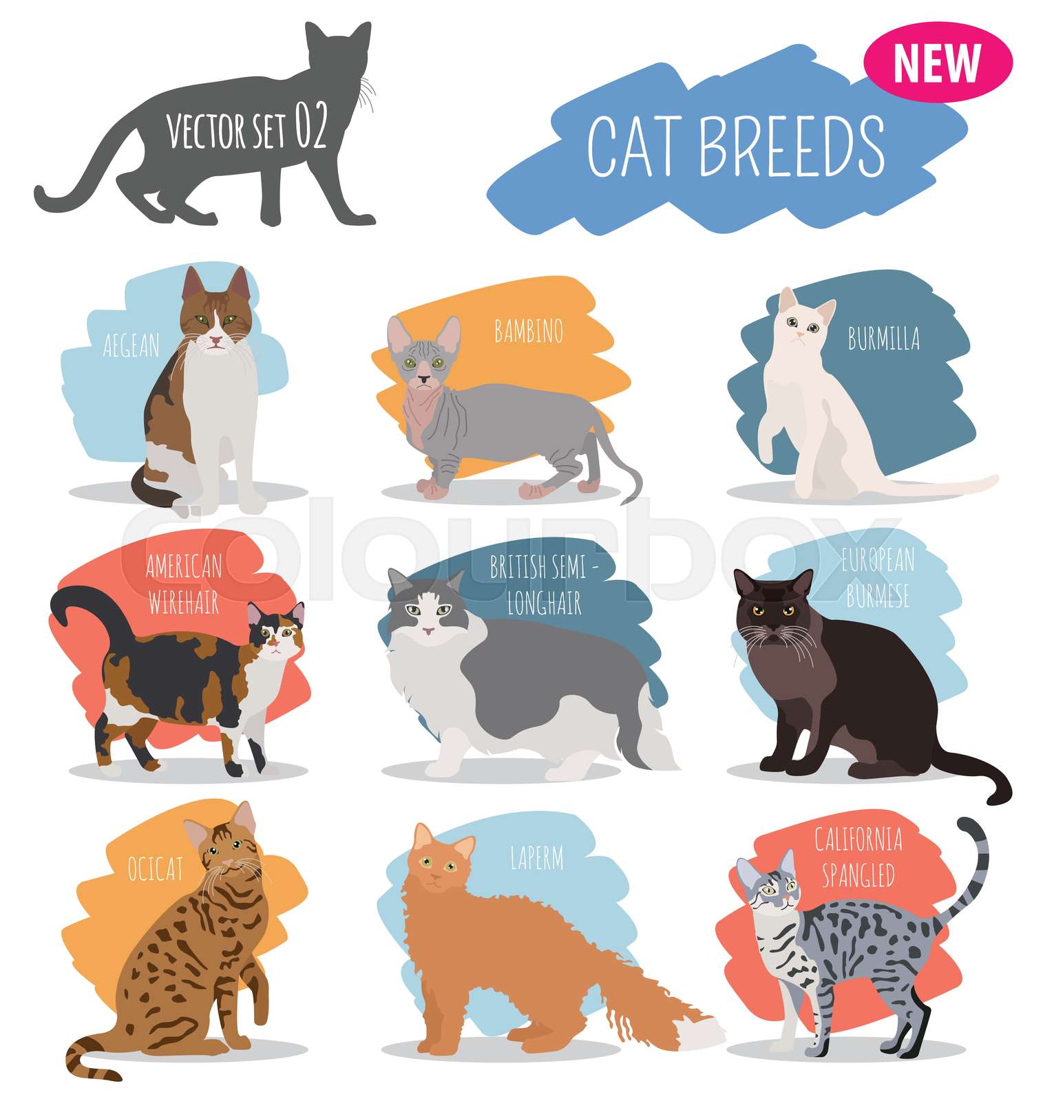 Cat breeds icon set flat style isolated on white. Create own ...