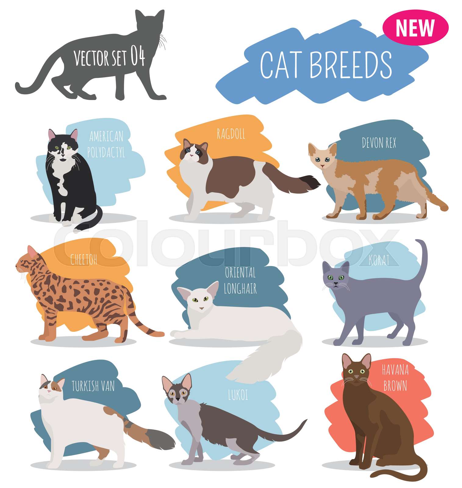 Cat breeds icon set flat style isolated on white. Create own ...