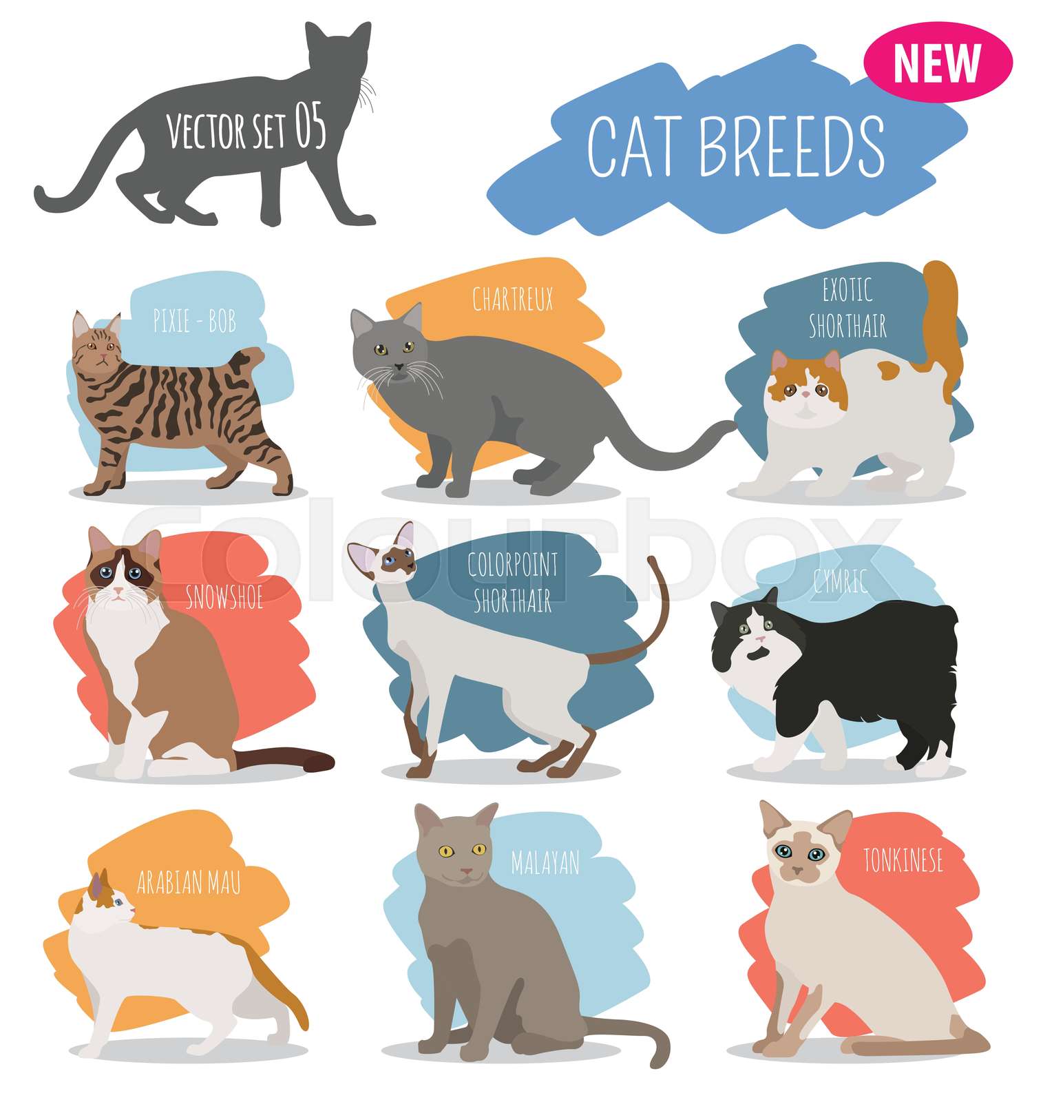 Cat Species Chart