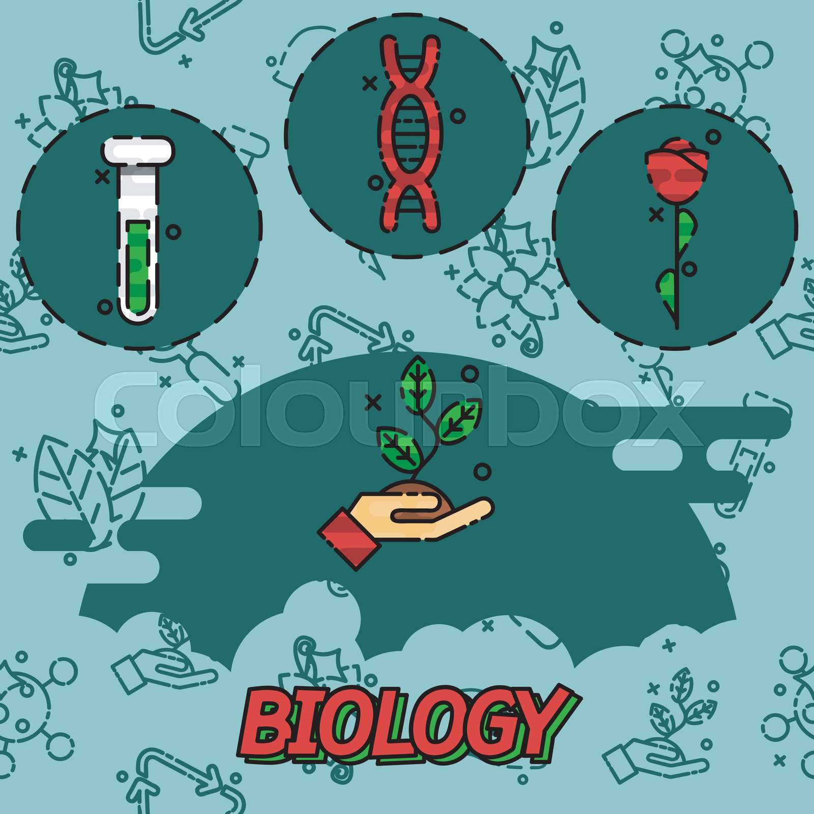 Biology Flat Concept Icons Stock Vector Colourbox