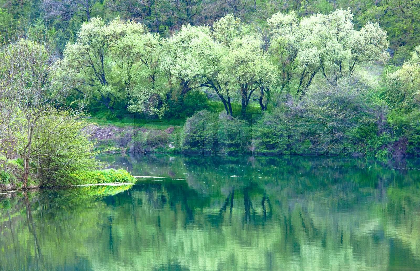 beautiful lake with spring trees and rocks mountain reflection in water ...