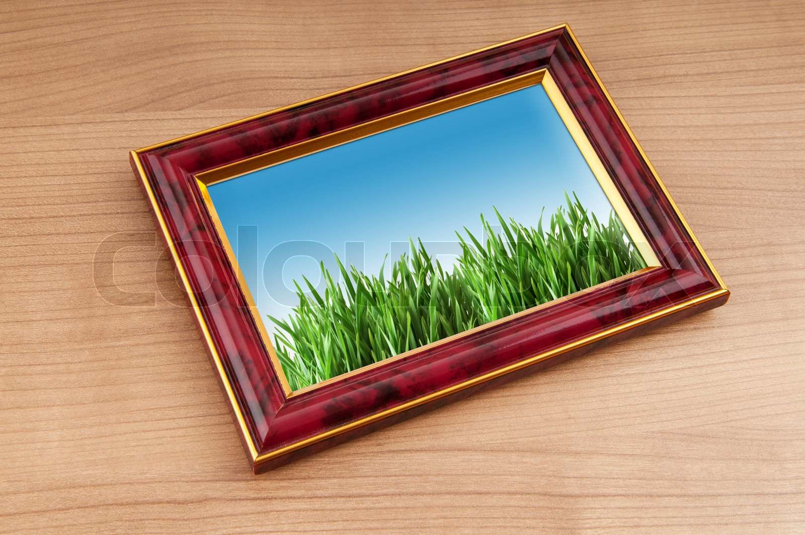 Green grass on the photo frame | Stock image | Colourbox