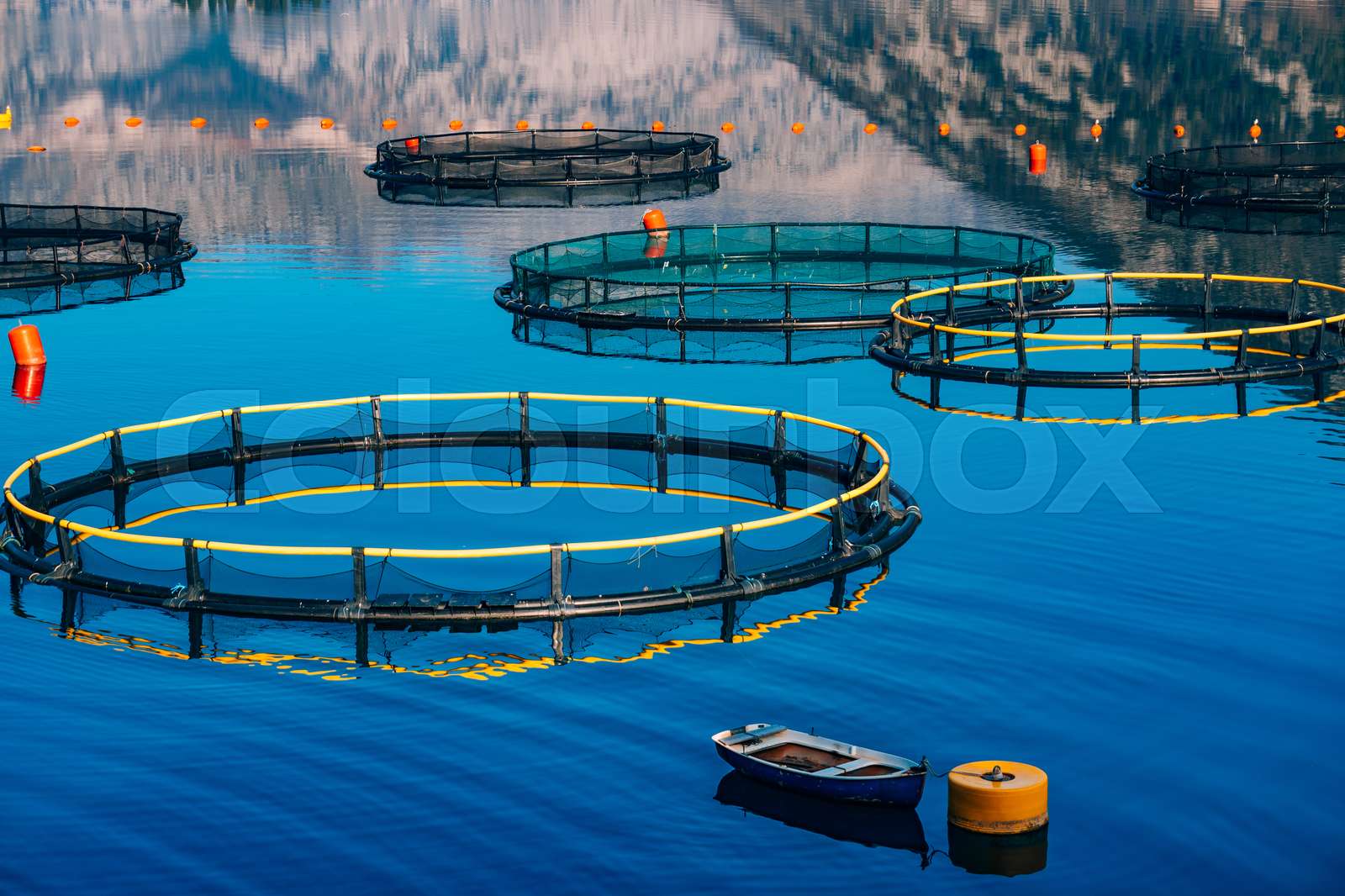 Fish farm in Montenegro. The farm for breeding and fish farming | Stock ...