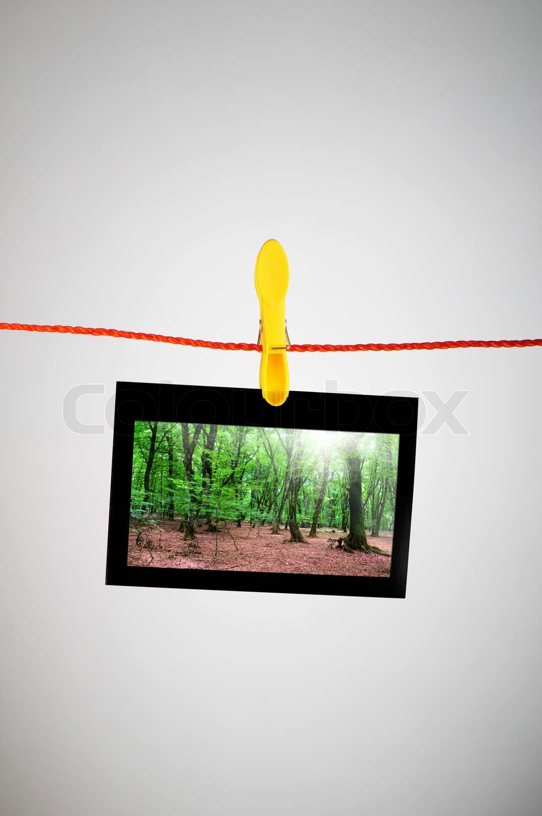 Picture frames with nature photos | Stock image | Colourbox