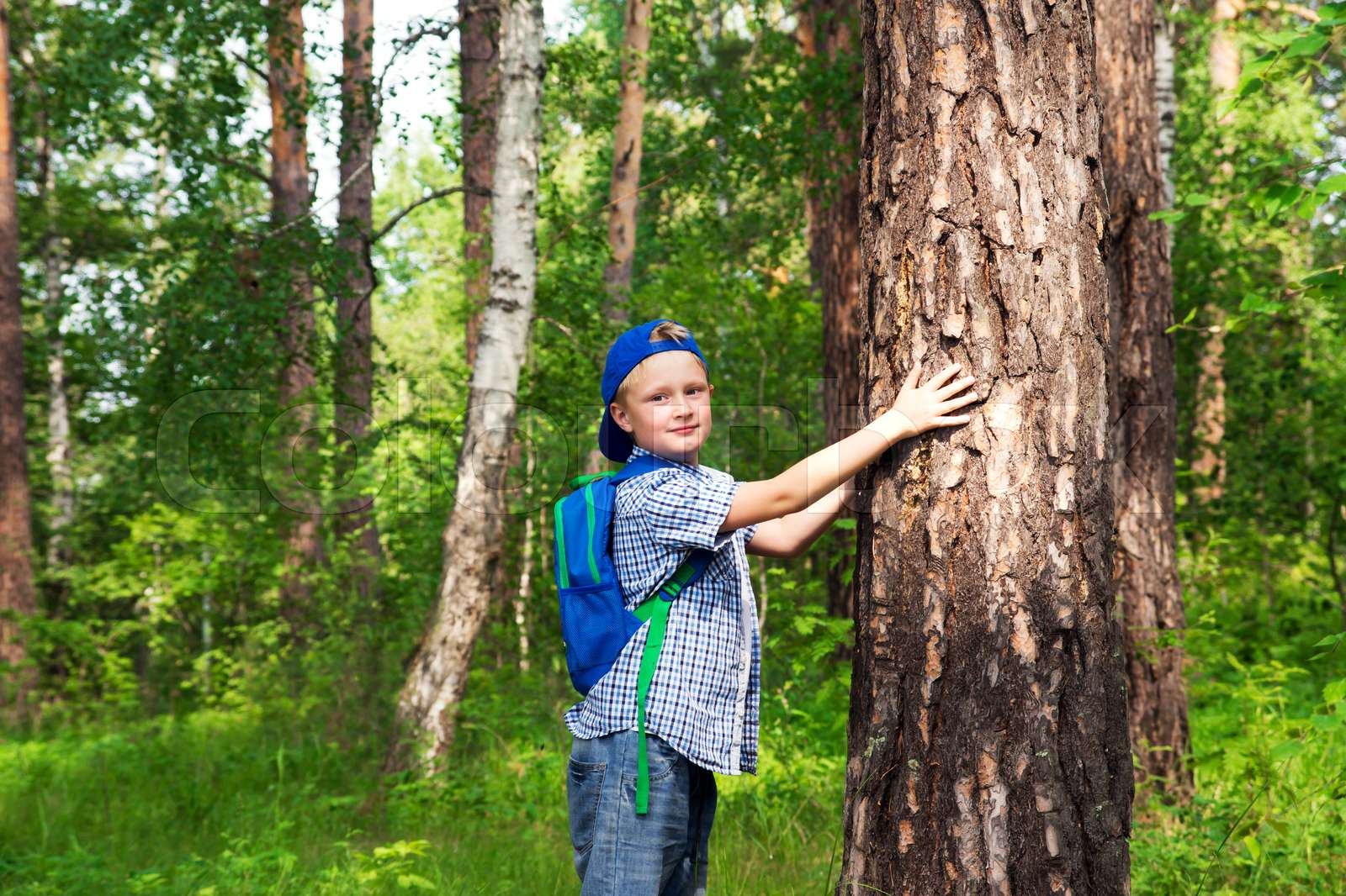 Child hugging tree | Stock image | Colourbox