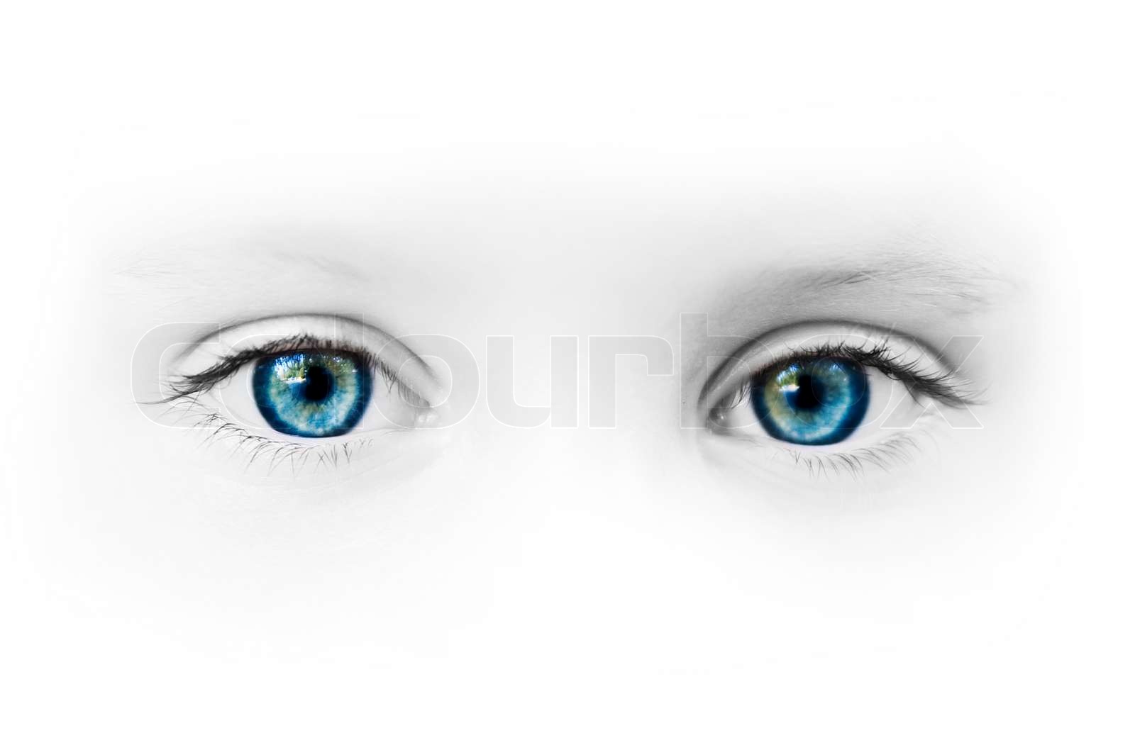 schönen blauen Augen des kleinen Mädchens | Stock Bild | Colourbox