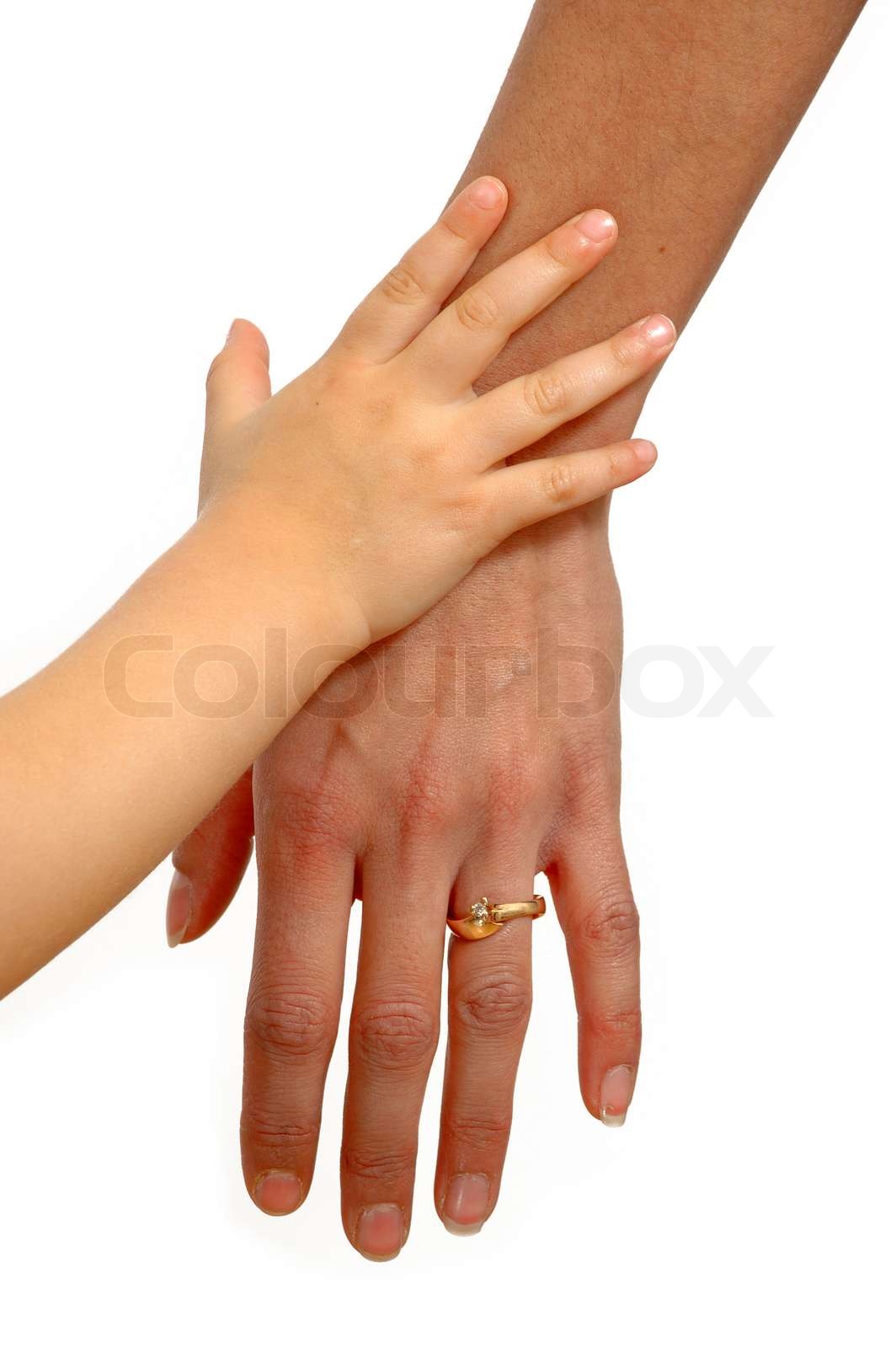 Child and adult hands | Stock image | Colourbox