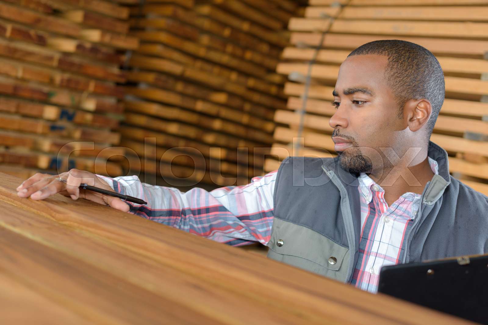 Man assessing wood | Stock image | Colourbox