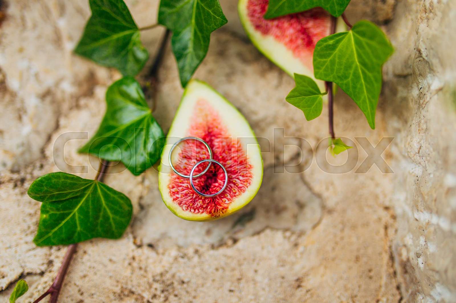 Wedding rings on figs | Stock image | Colourbox