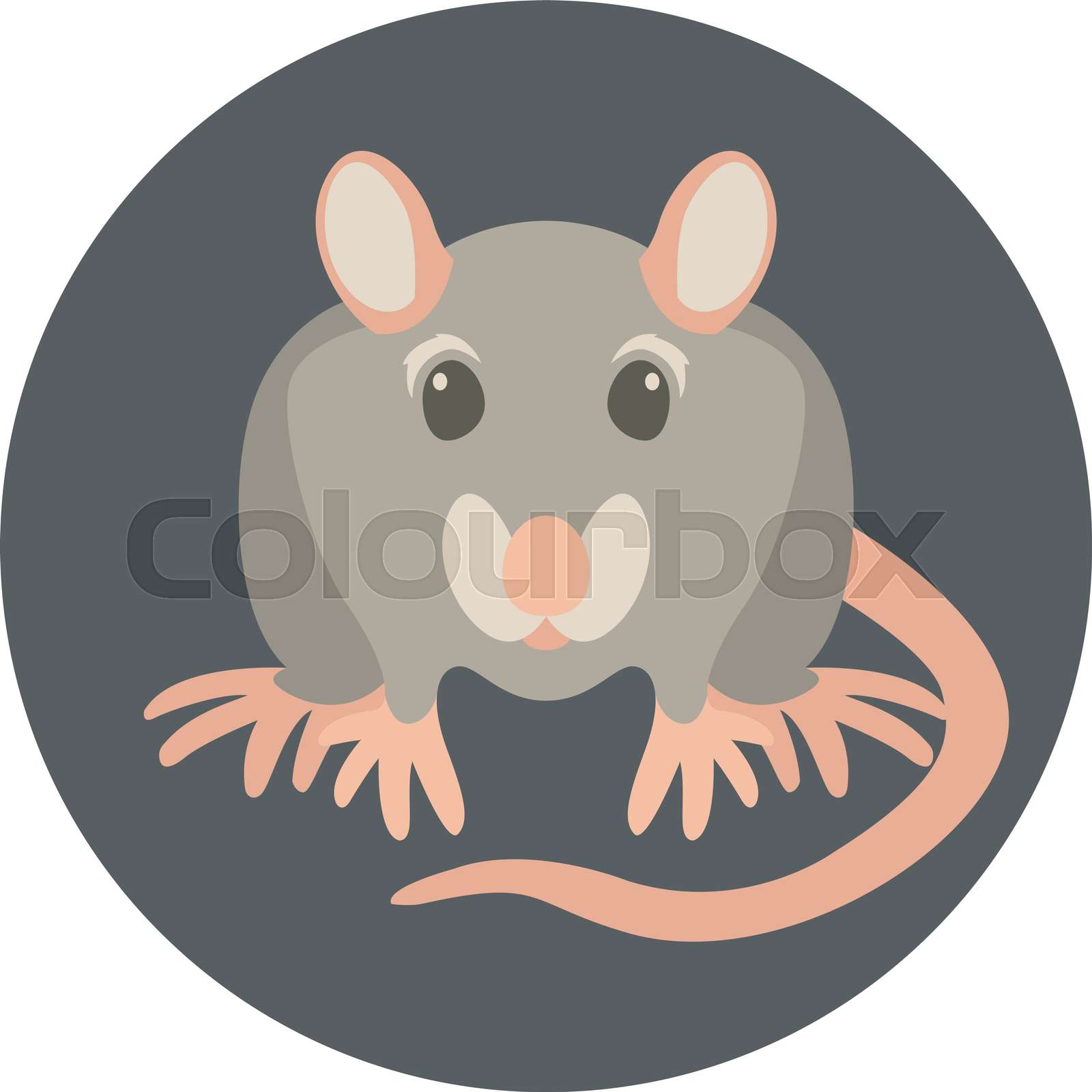 rotter, rotte, tegneserie | Stock vektor | Colourbox