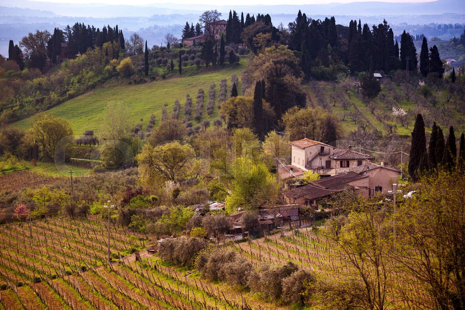 Typical Tuscan landscape | Stock image | Colourbox