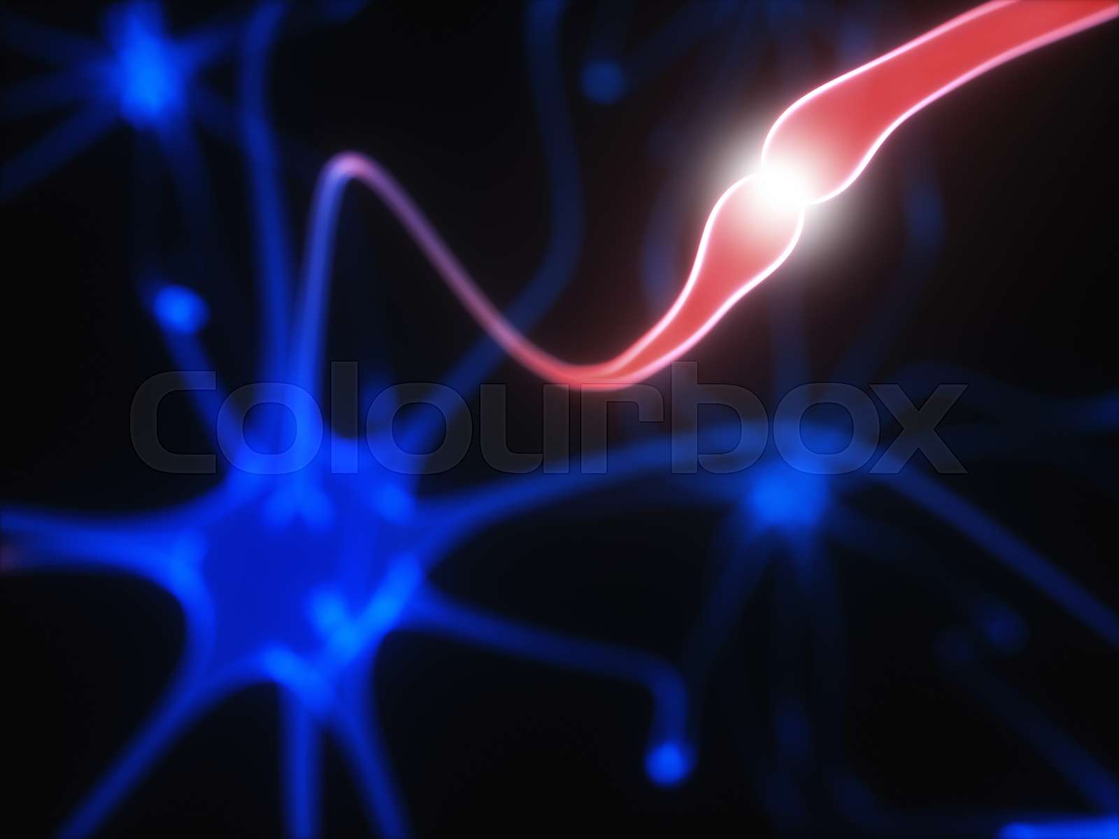 Neurons Electrical Pulses | Stock image | Colourbox