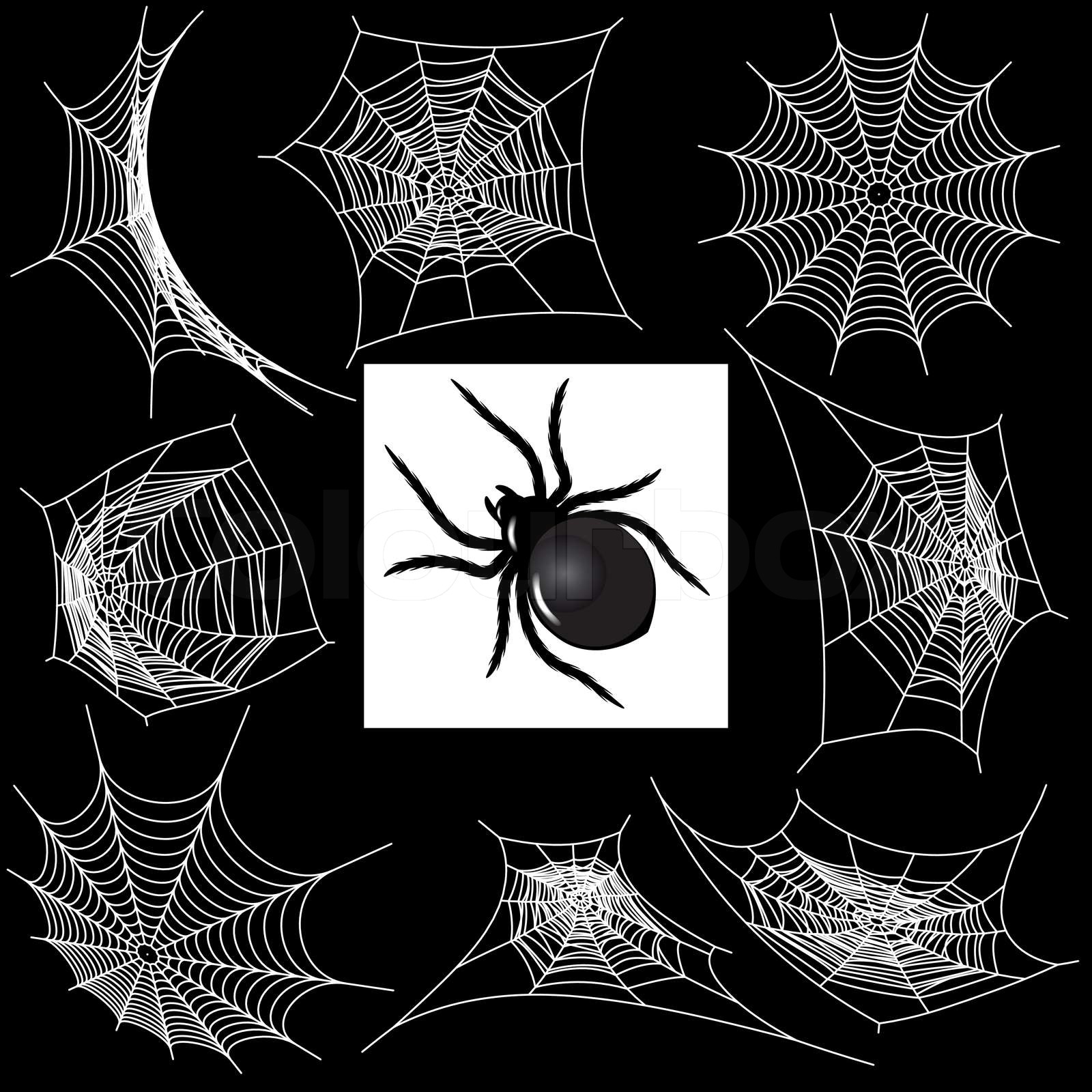Set mit Spinnweben und Spinne | Stock-Vektor | Colourbox