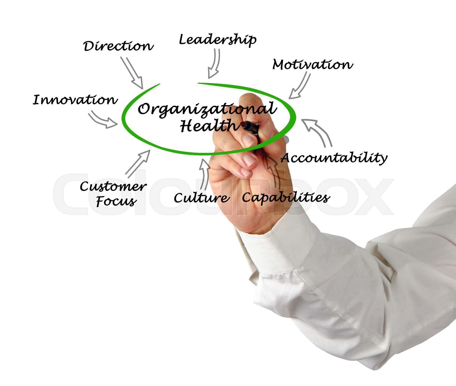 Diagram of Organizational Health | Stock image | Colourbox