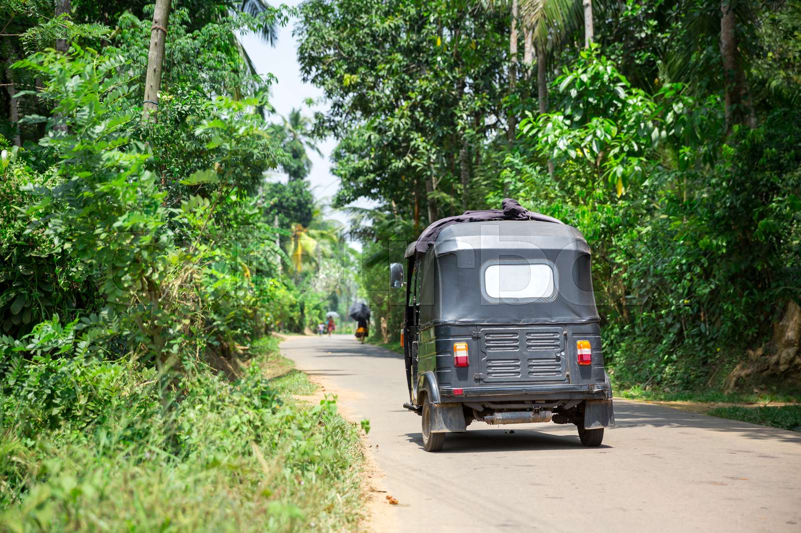 Tuk tuk on road of Sri Lanka, back view | Stock image | Colourbox
