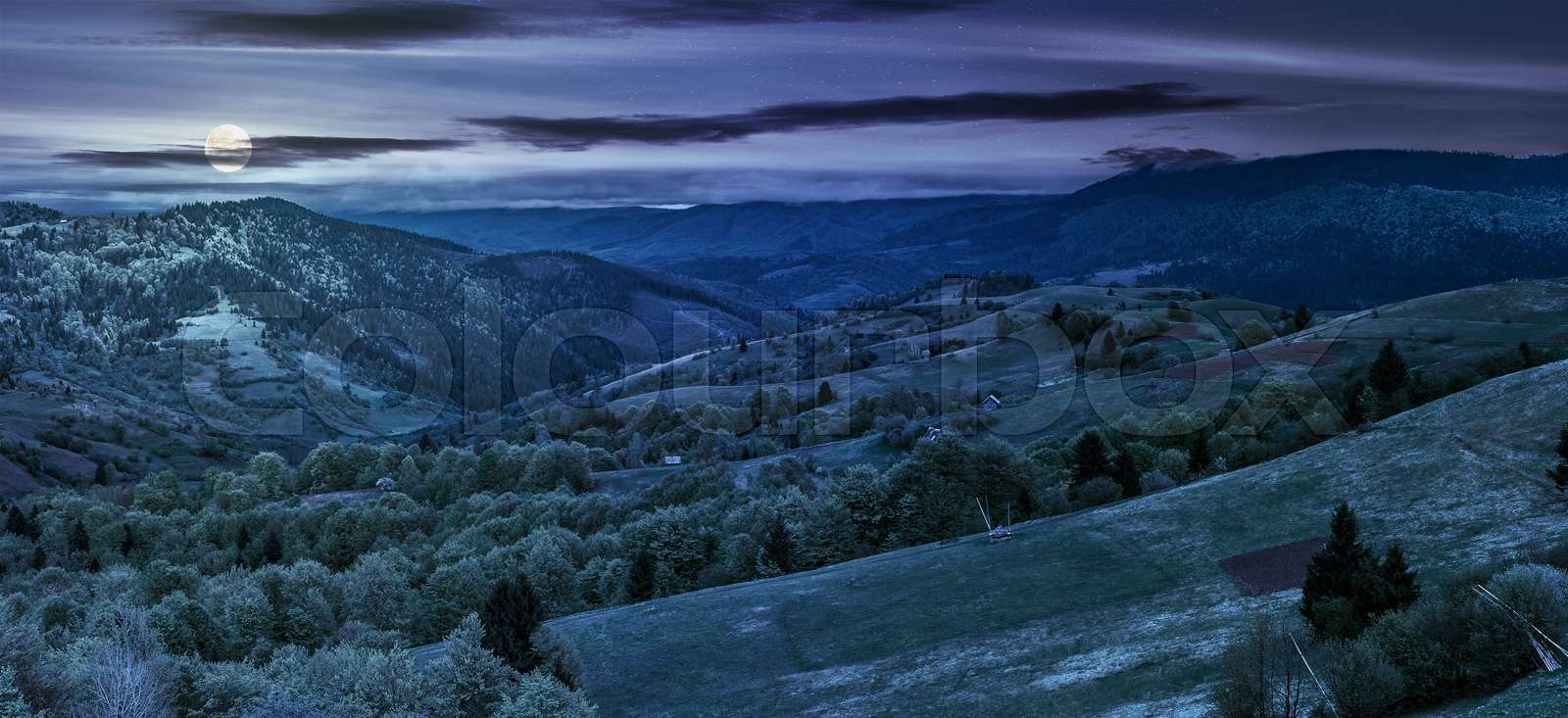 forest on a mountain hillside in rural area at night | Stock image ...