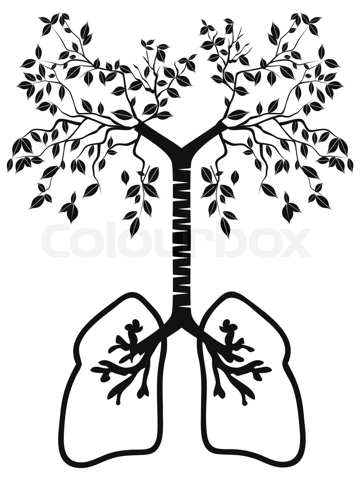Lung Tree Clip Art