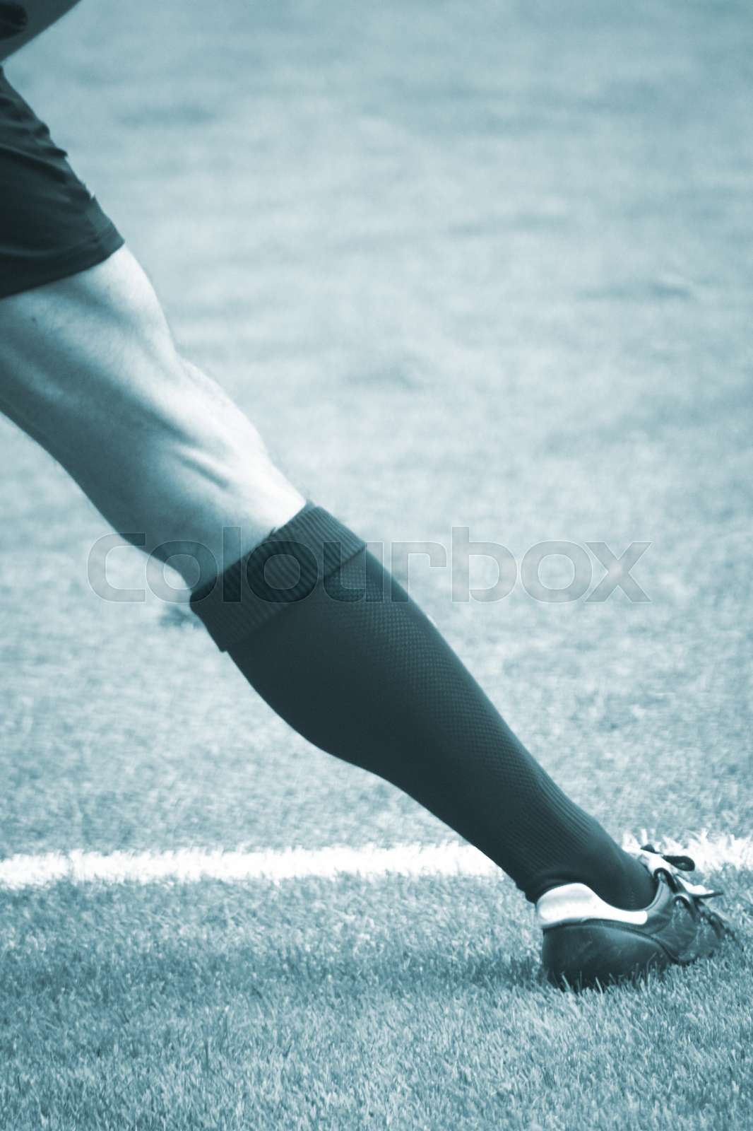 Soccer football pitch line and linesman | Stock image | Colourbox