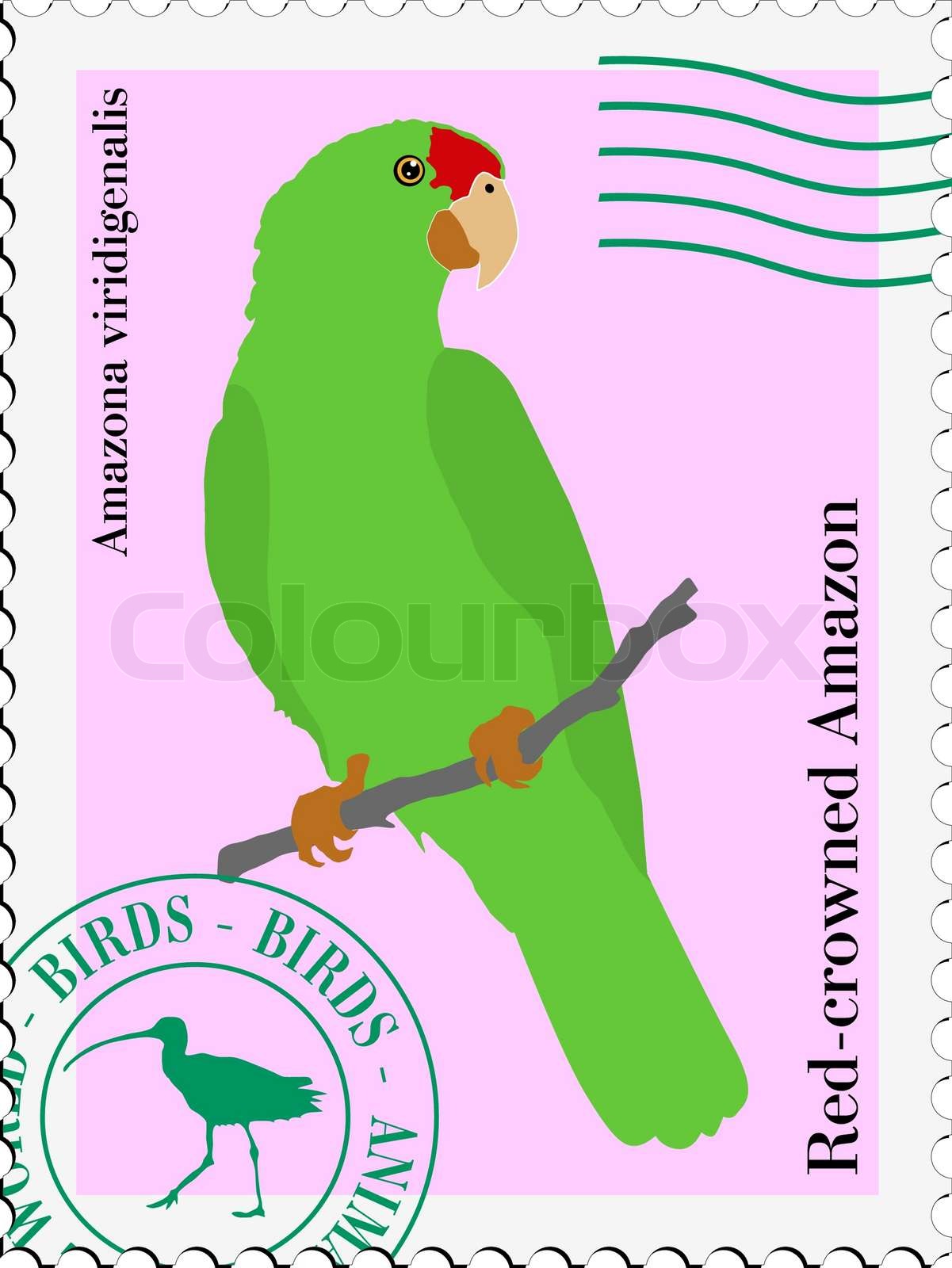 bird on stamp | Stock vector | Colourbox
