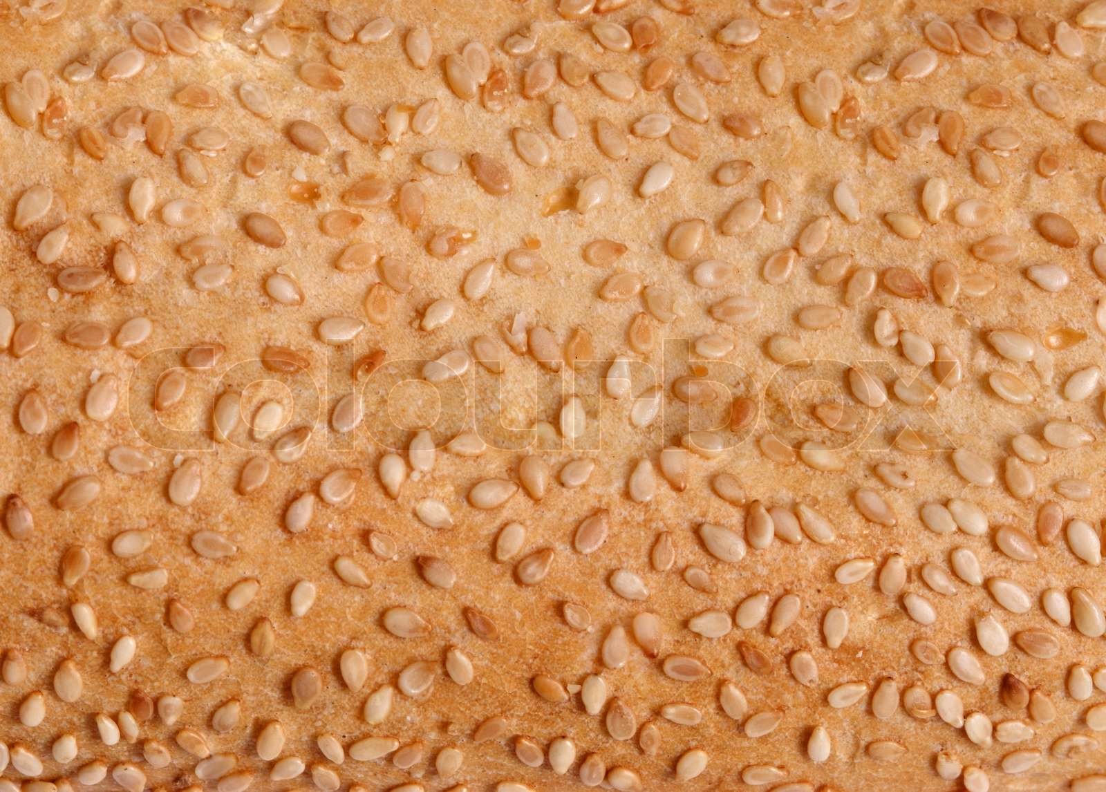 Seamless Bread Texture
