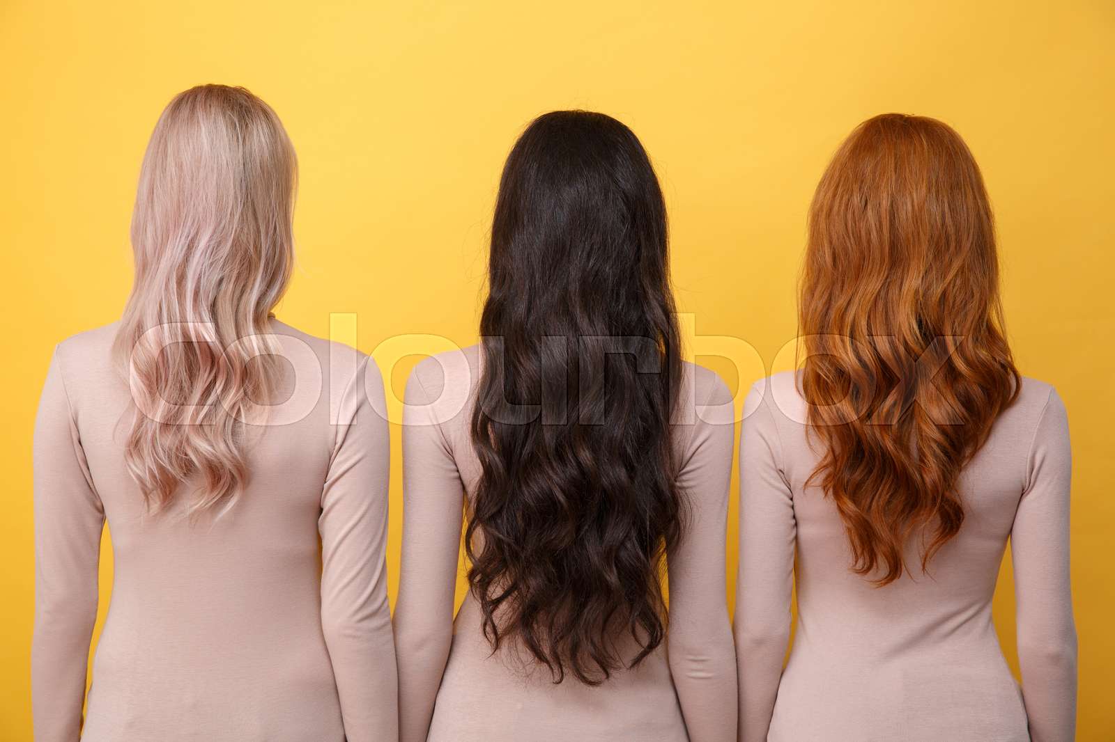 Back view photo of young three ladies | Stock image | Colourbox