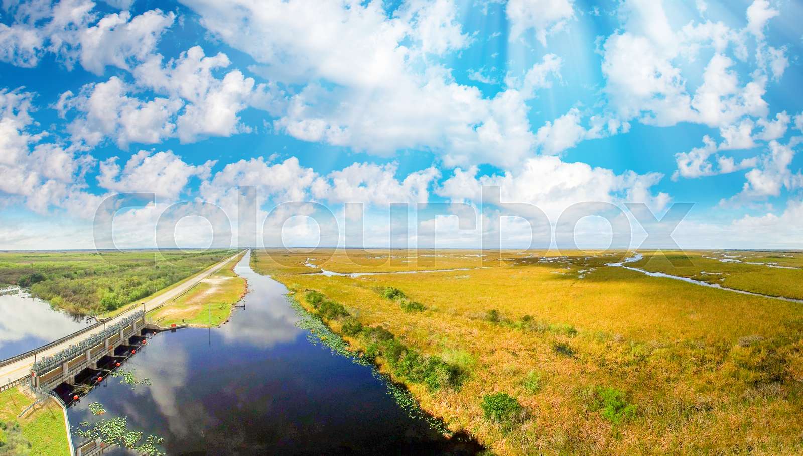 Everglades colors in Florida. Aerial view at dusk | Stock image | Colourbox