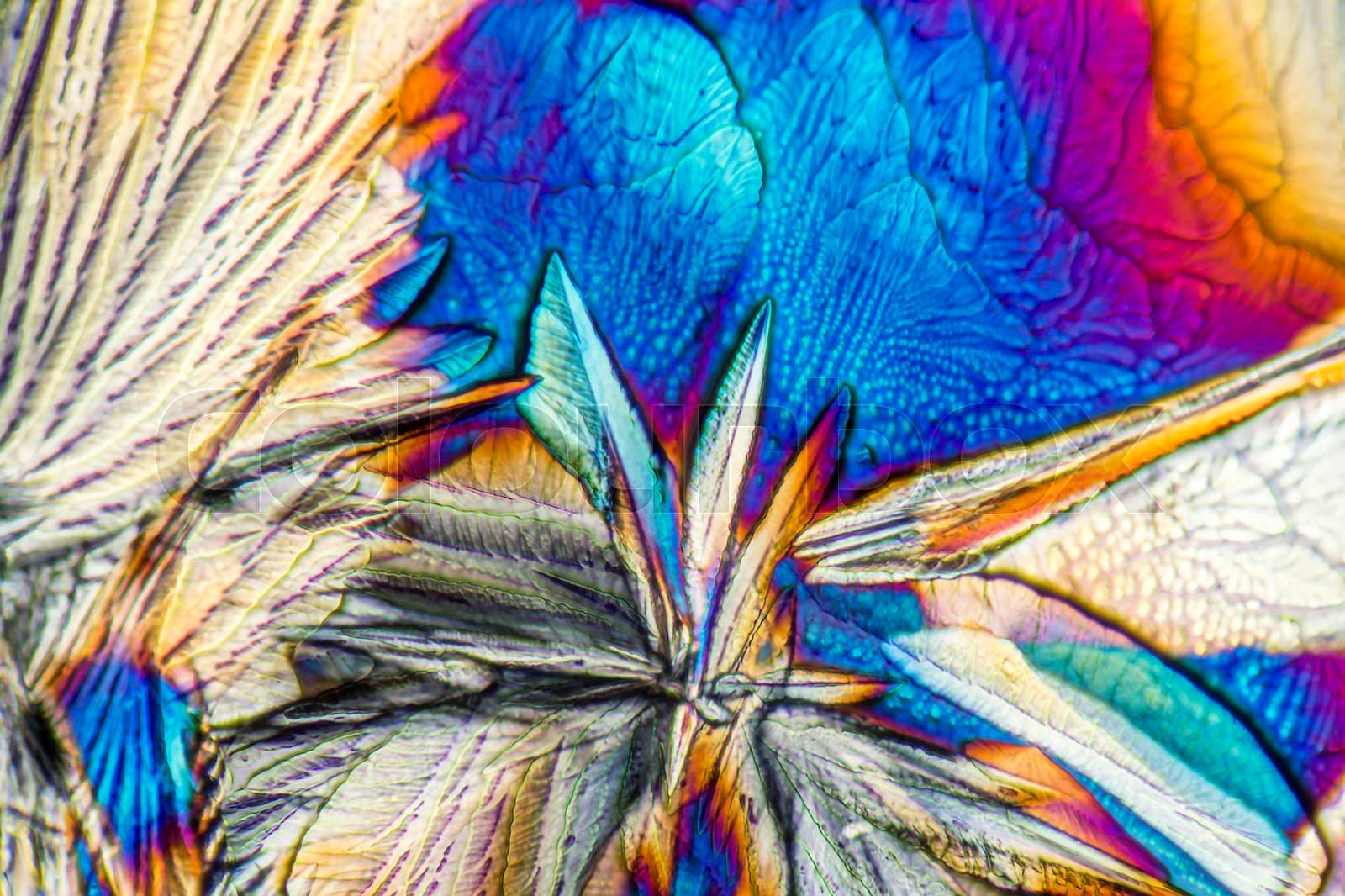 microscopic Galactose crystals | Stock image | Colourbox