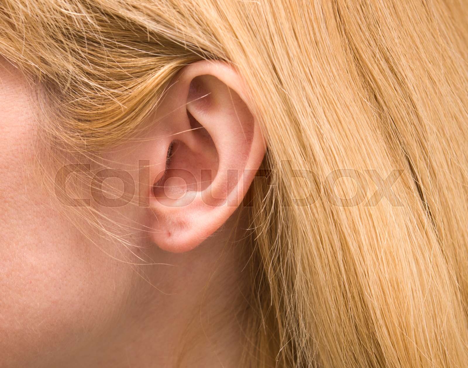 Female ear | Stock image | Colourbox