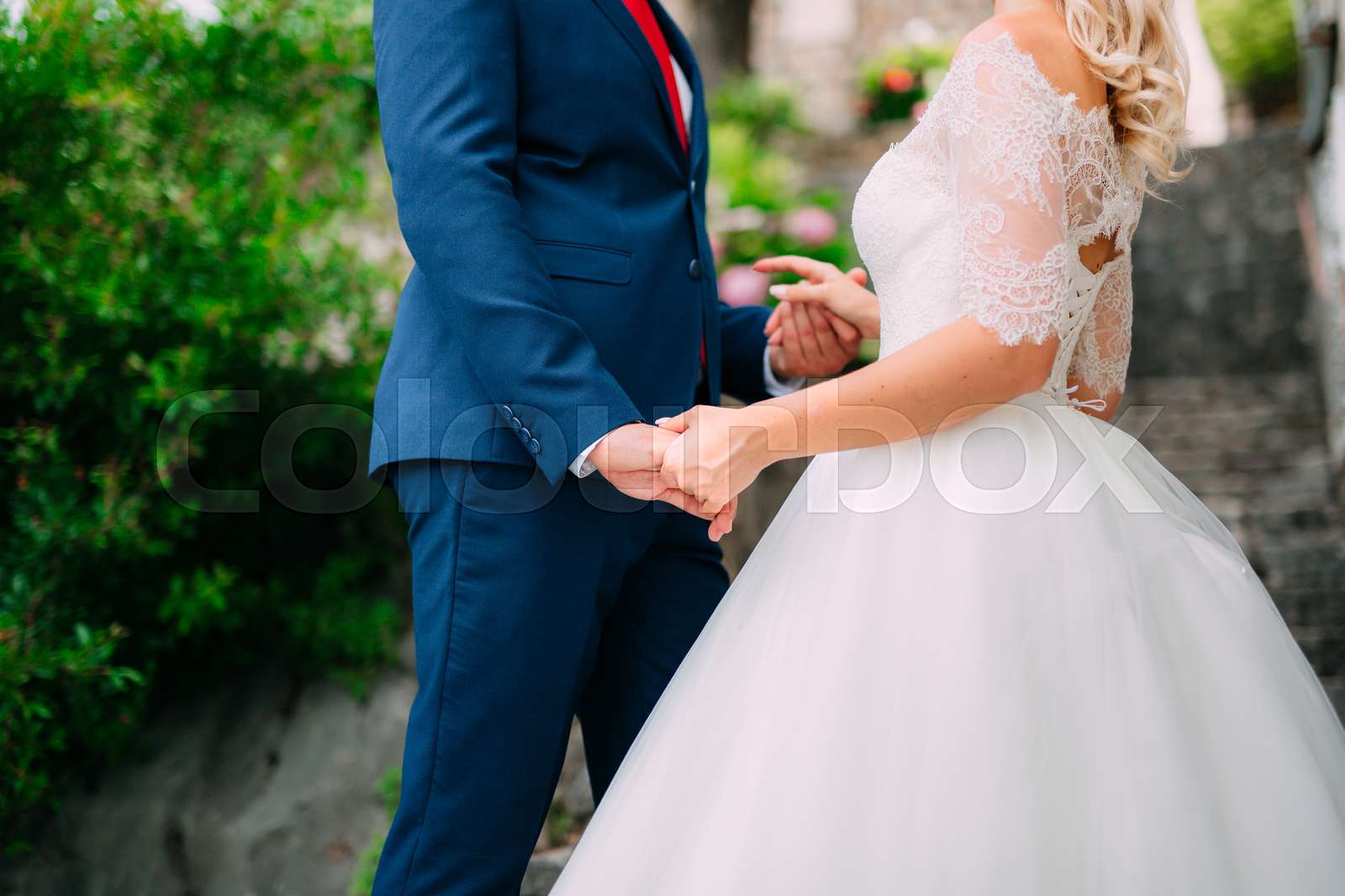 The newlyweds hold hands. Couple holding hands. Wedding in Monte ...