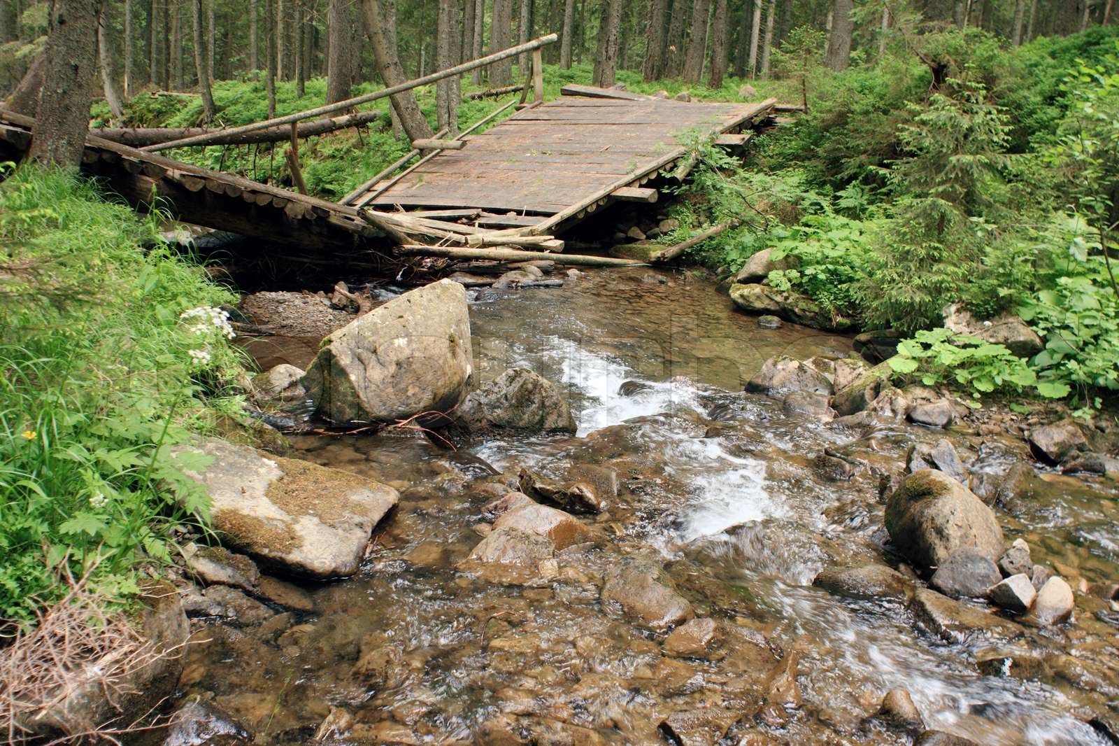 Kleine Berg Wasserstrom in Wald und Holz -Brücke, störte es vor | Stock ...