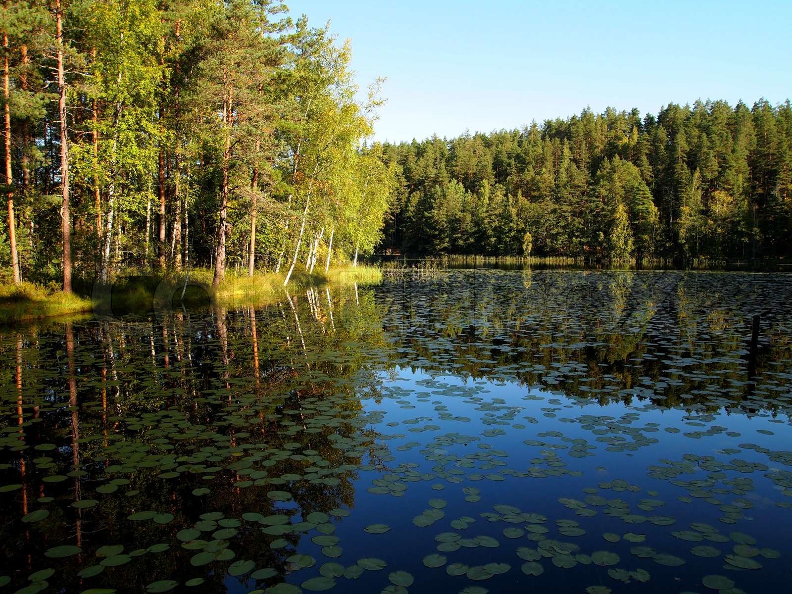 Lake in Finland | Stock image | Colourbox