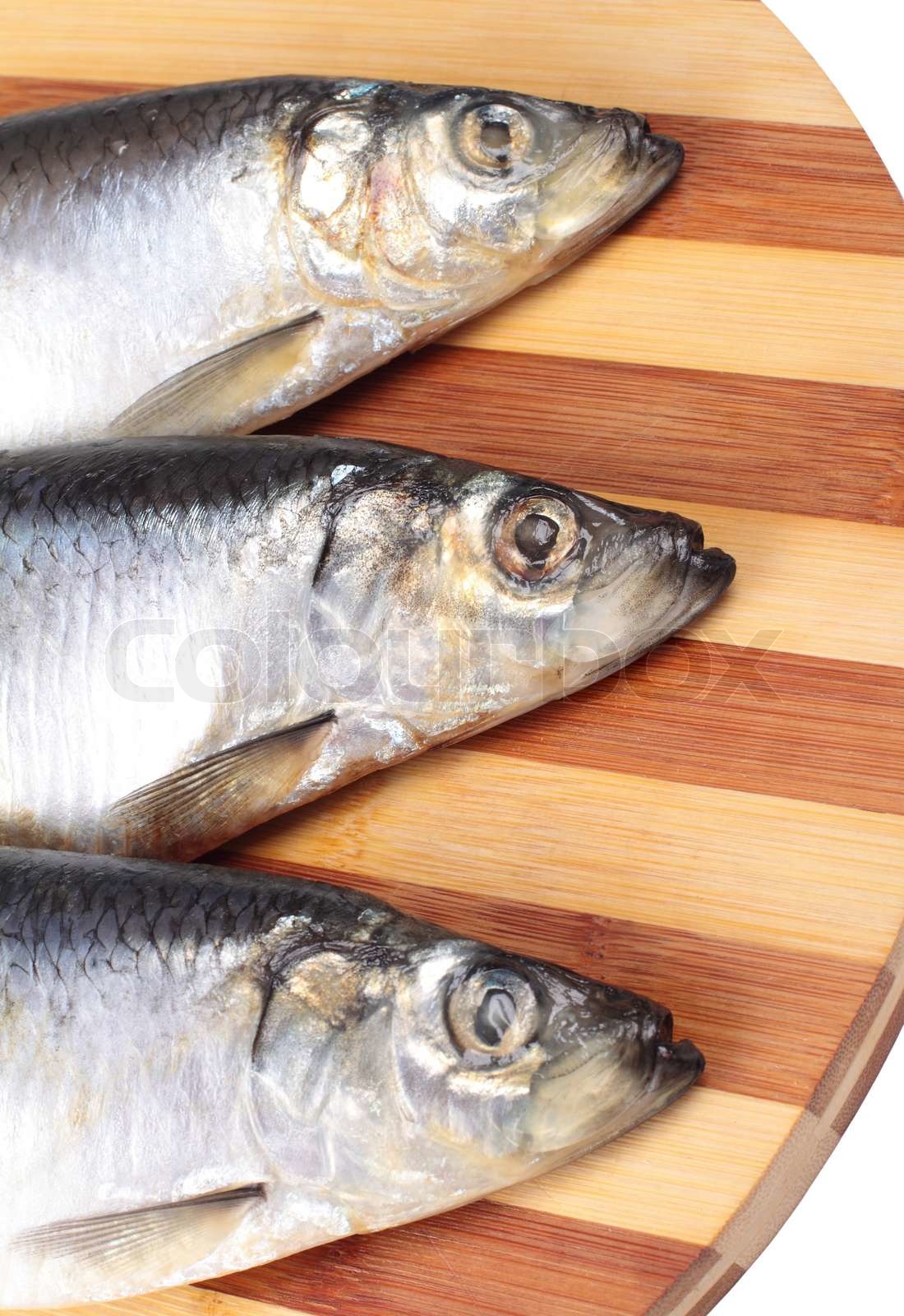 Fisch close up isoliert auf weißem Hintergrund | Stock Bild | Colourbox