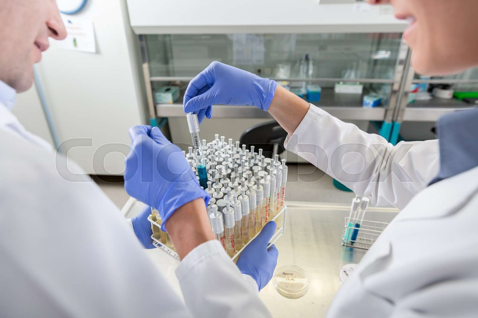 Scientist arrange samples for test in research lab | Stock image ...