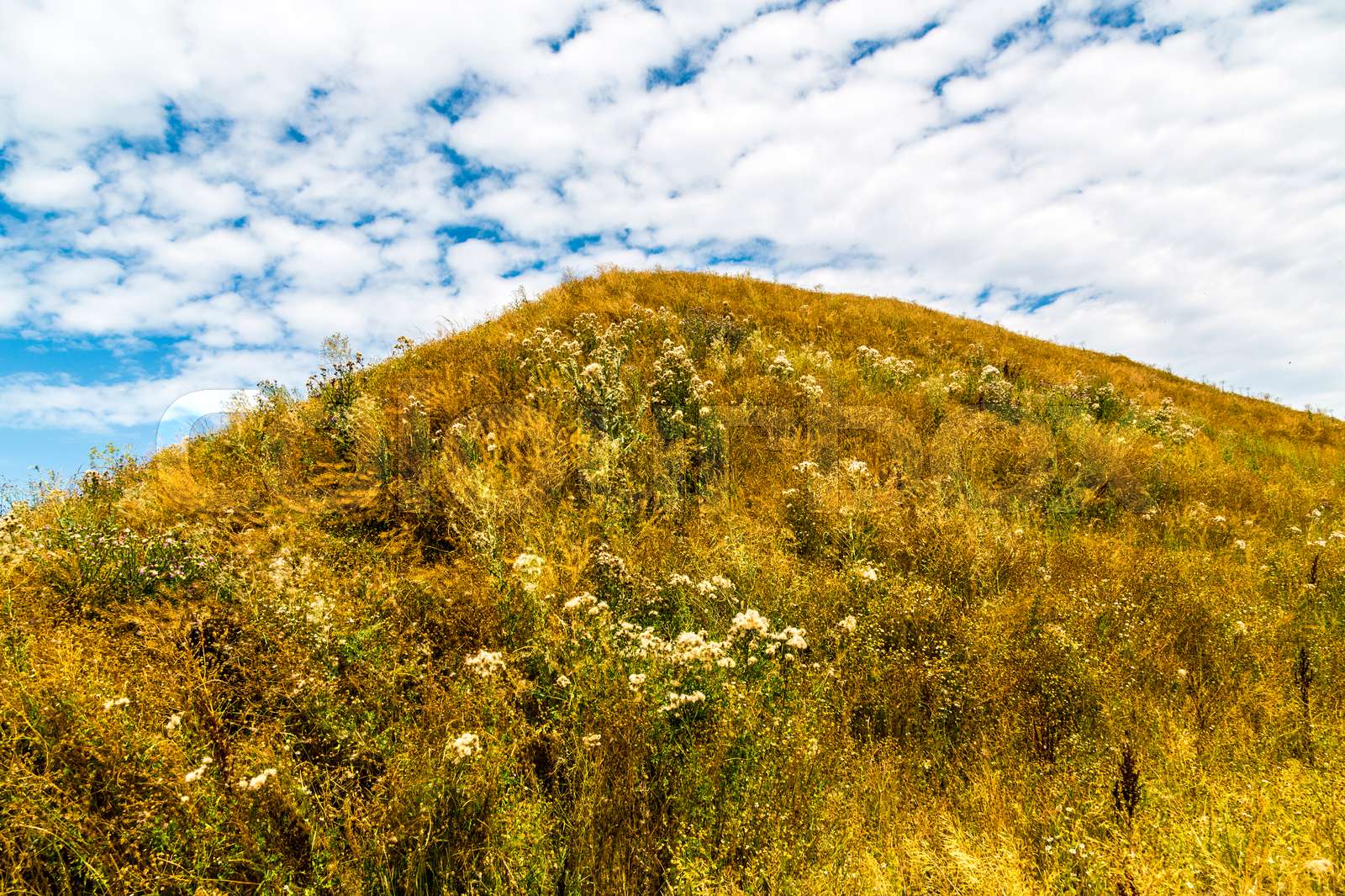 dry meadow on a hill in summer, with cloudy sky | Stock Bild | Colourbox