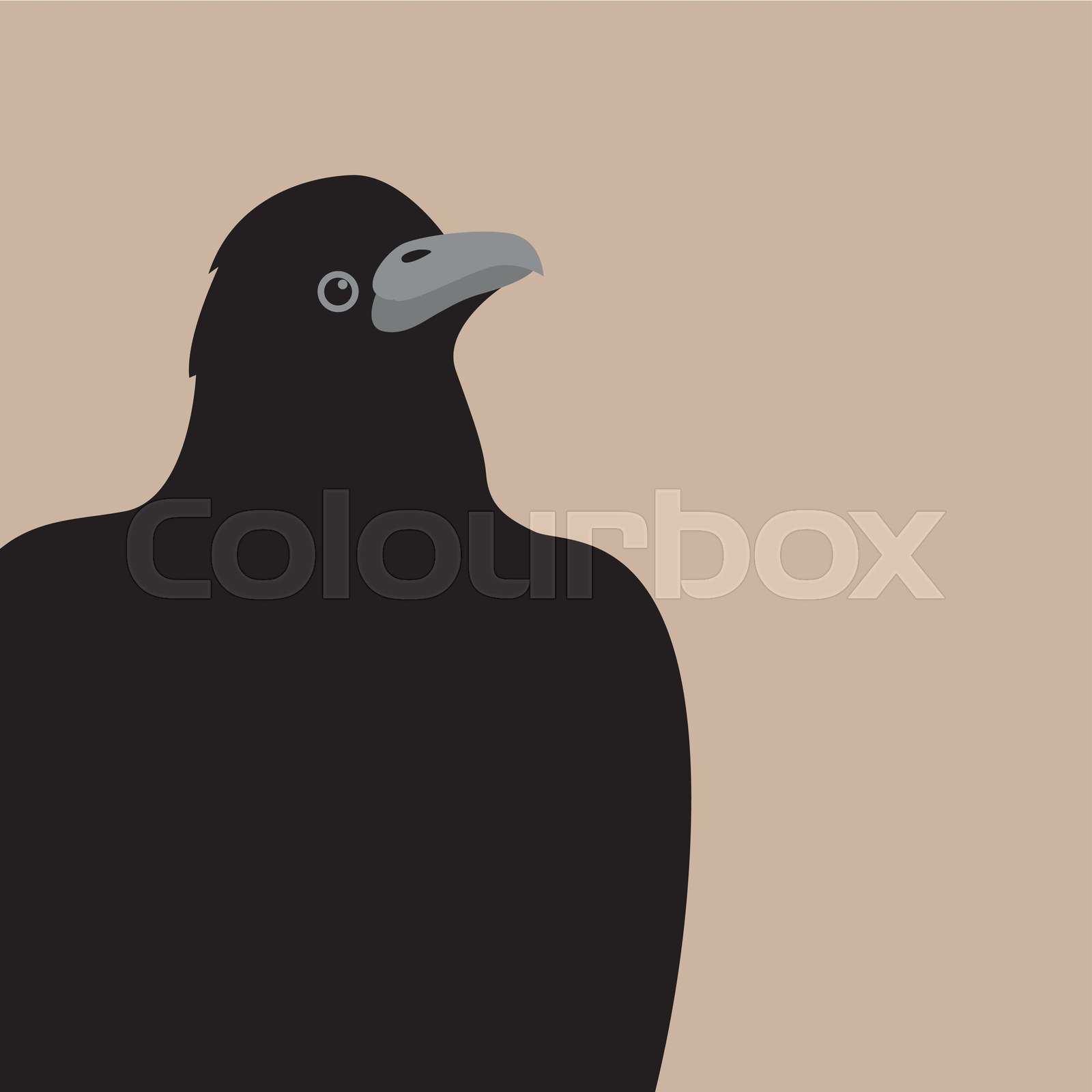 Raven vector illustration | Stock vector | Colourbox