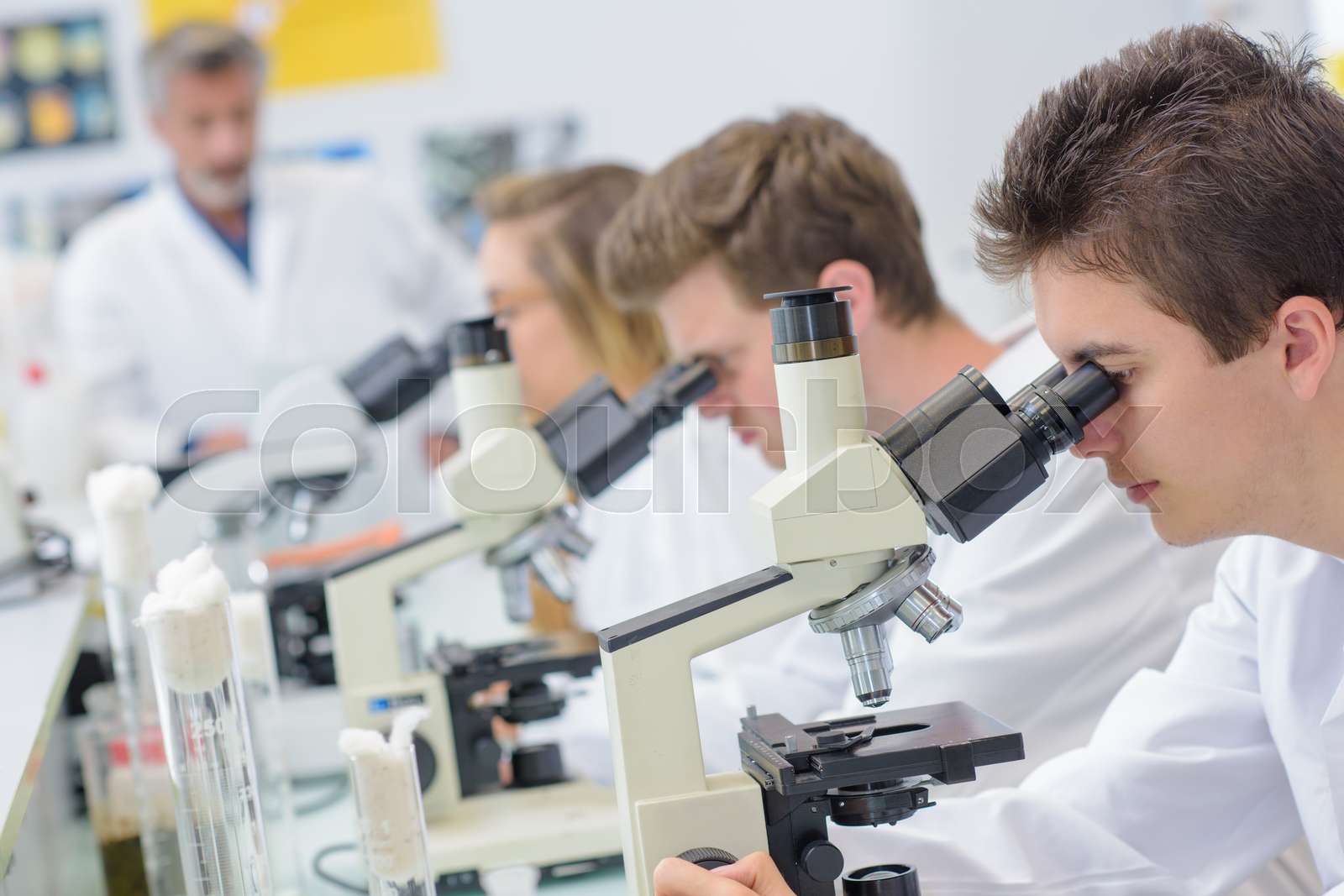 Students using microscopes | Stock image | Colourbox