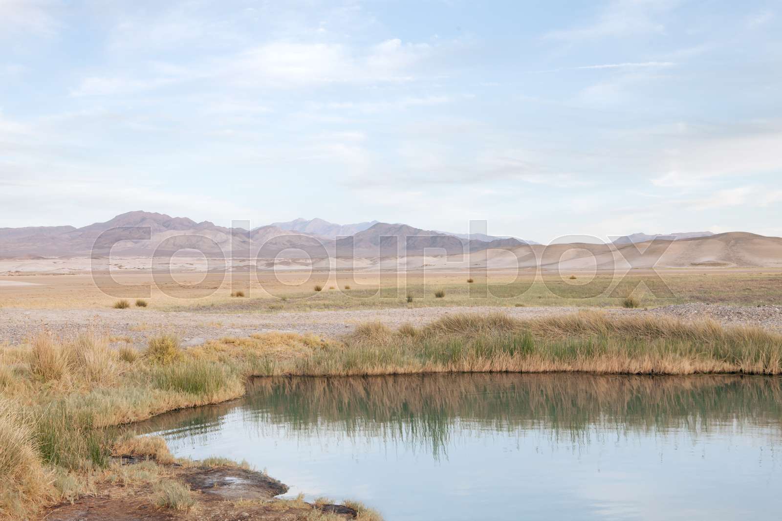 desert pond | Stock image | Colourbox